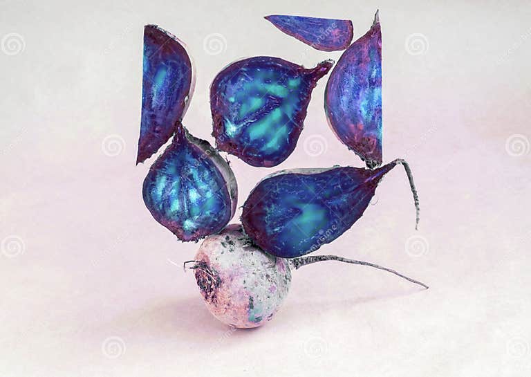 Different Pieces of Fresh, Raw, Unusual Color Beet and Composition in ...