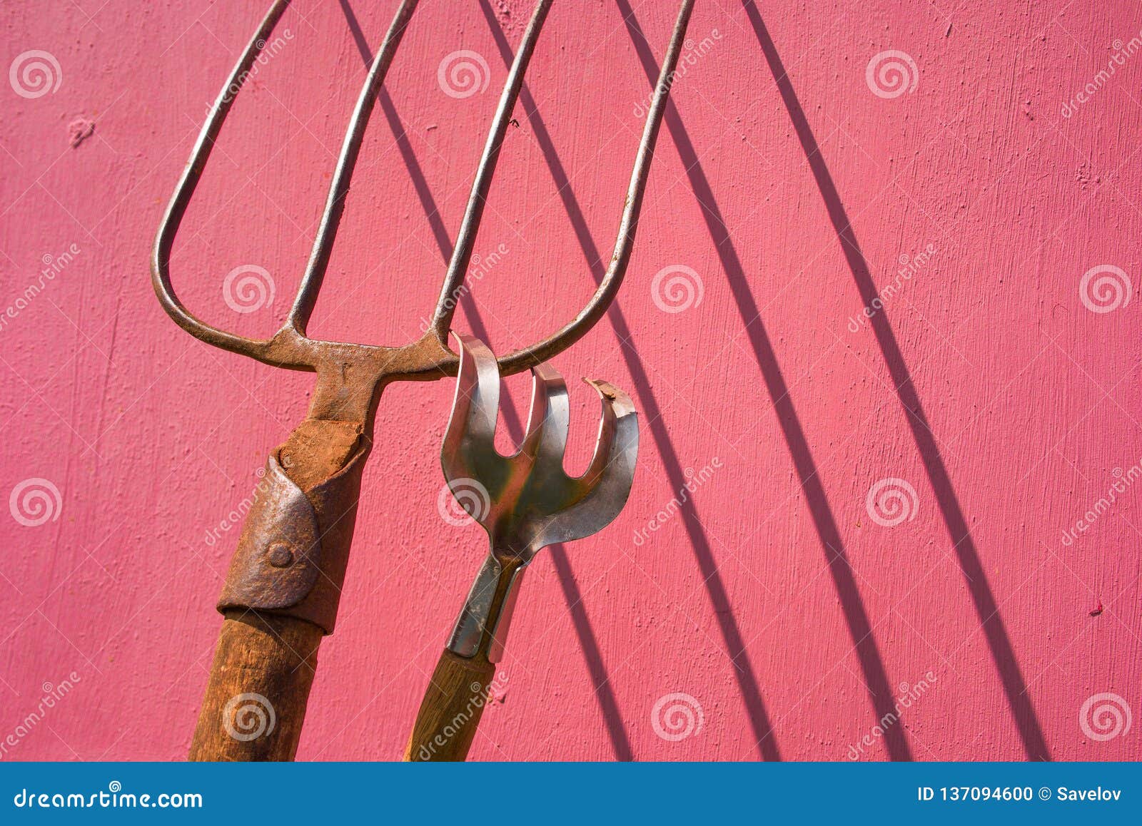Different Pitchfork on a Metallic Wall Stock Photo - Image of equipment ...