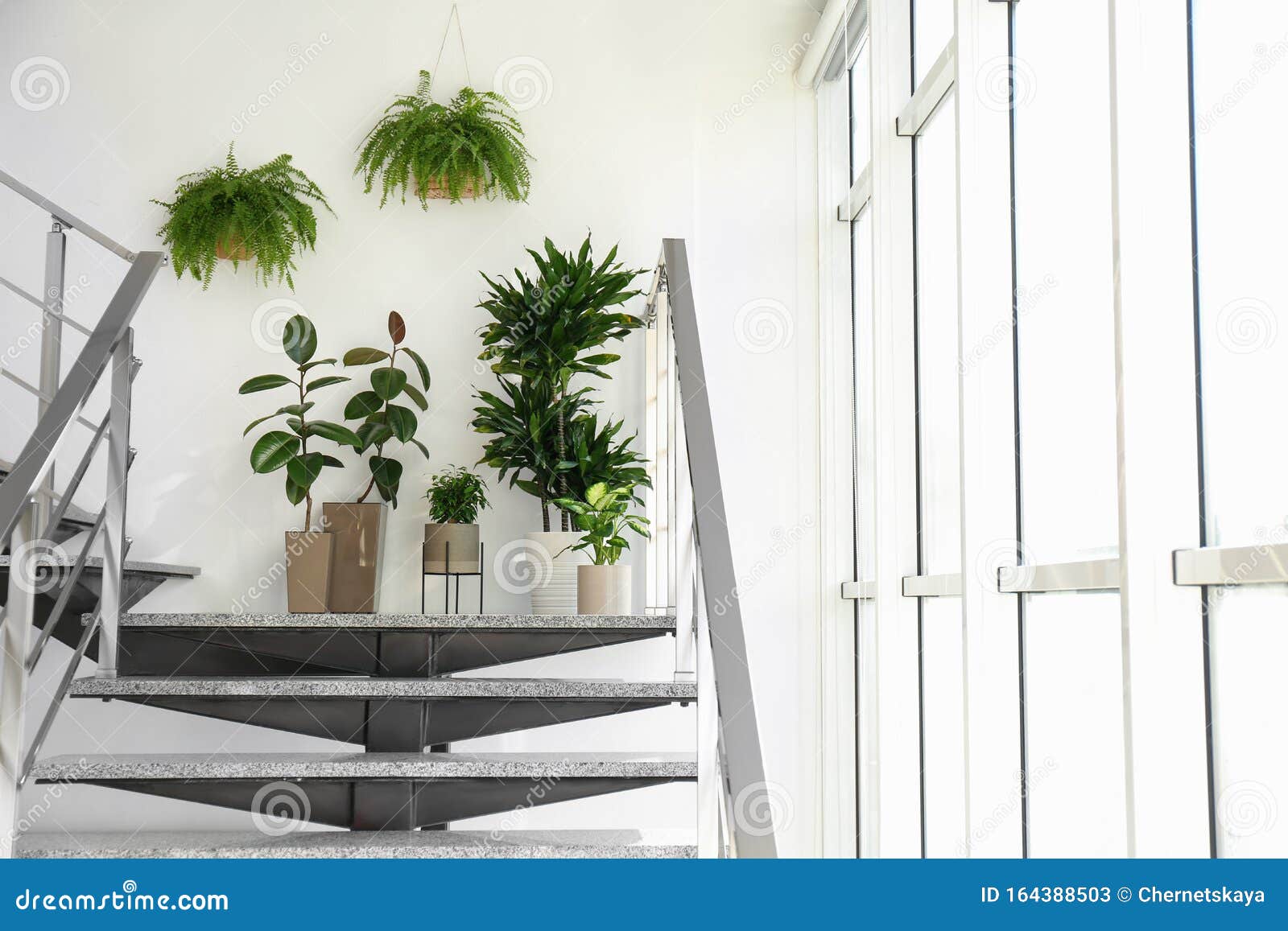 Different Plants on Stairs Indoors. Home Design Idea Stock Image ...