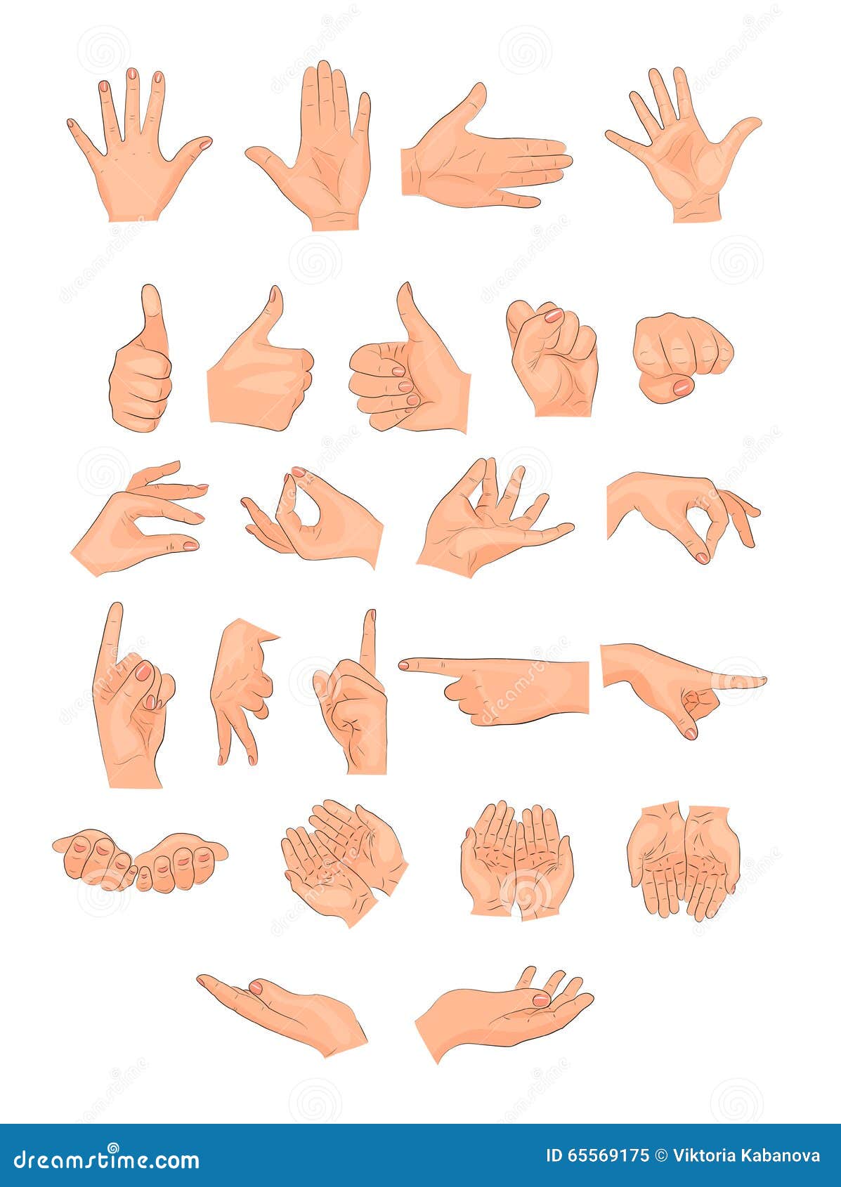 The Different Positions of the Hands Stock Vector - Illustration of ... The Different Positions of the Hands Stock Vector - Illustration of ...