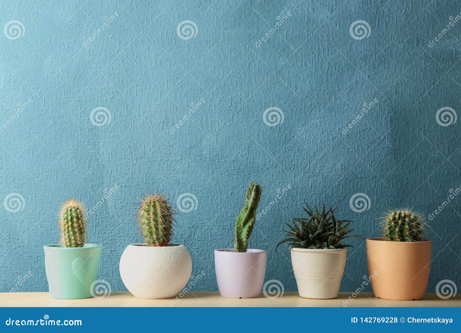 Different Potted Cacti on Table Near Color Background Stock Photo ...