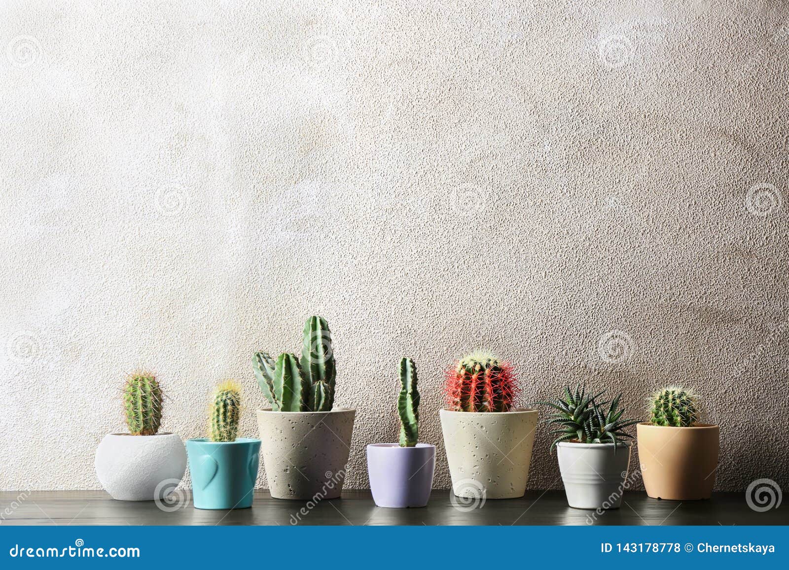 Different Potted Cacti on Table Near Color Background Stock Photo ...