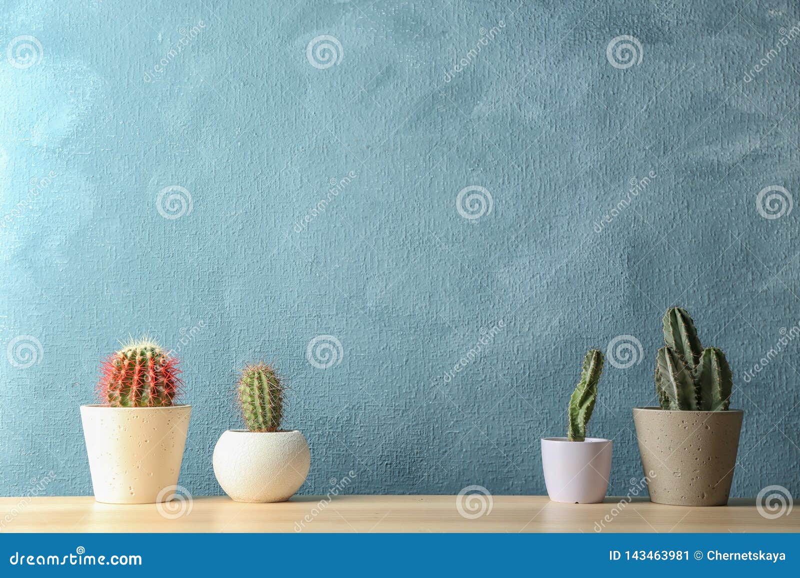 Different Potted Cacti on Table Near Color Background. Interior Decor ...