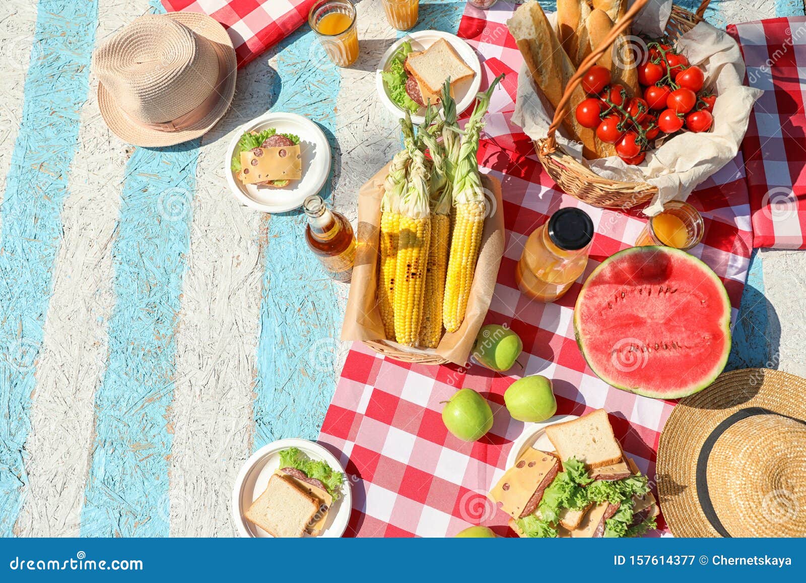 Different Products for Summer Picnic Served on Checkered Blanket Stock ...