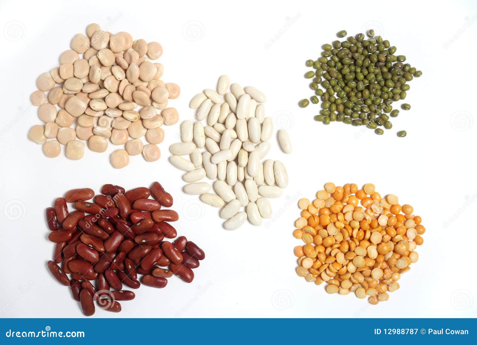 Different pulses stock image. Image of food, dried, split - 12988787