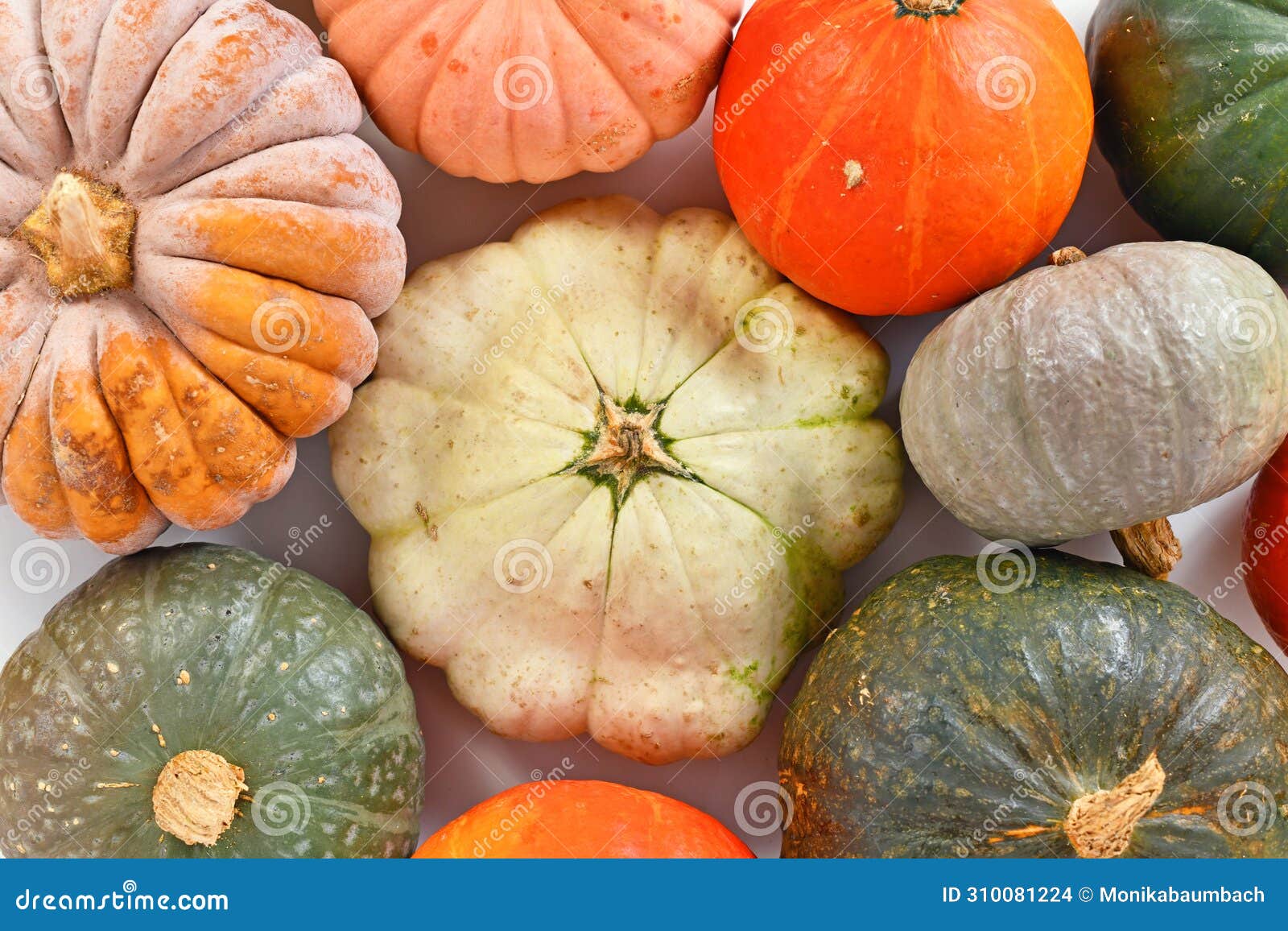 Different Pumpkin and Squash Mix Stock Photo - Image of japanese ...