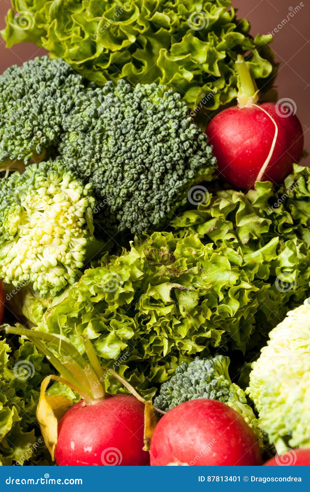 Different Raw Type of Vegetables on the Table Stock Image - Image of ...