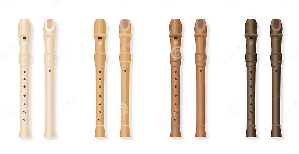 Different Recorder Various Flutes Front View Back View Stock Vector ...