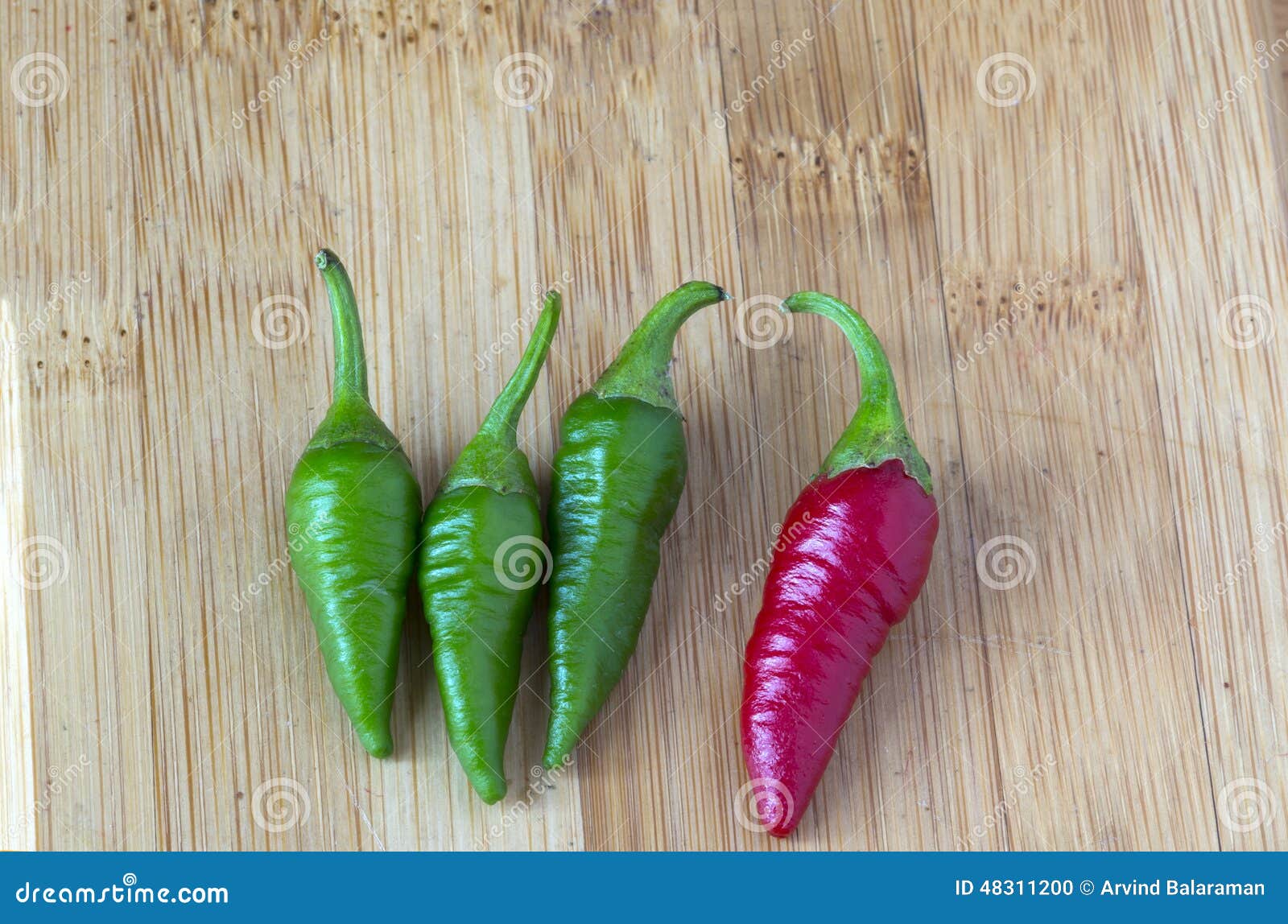 Different stock photo. Image of design, chilly, vegetable - 48311200
