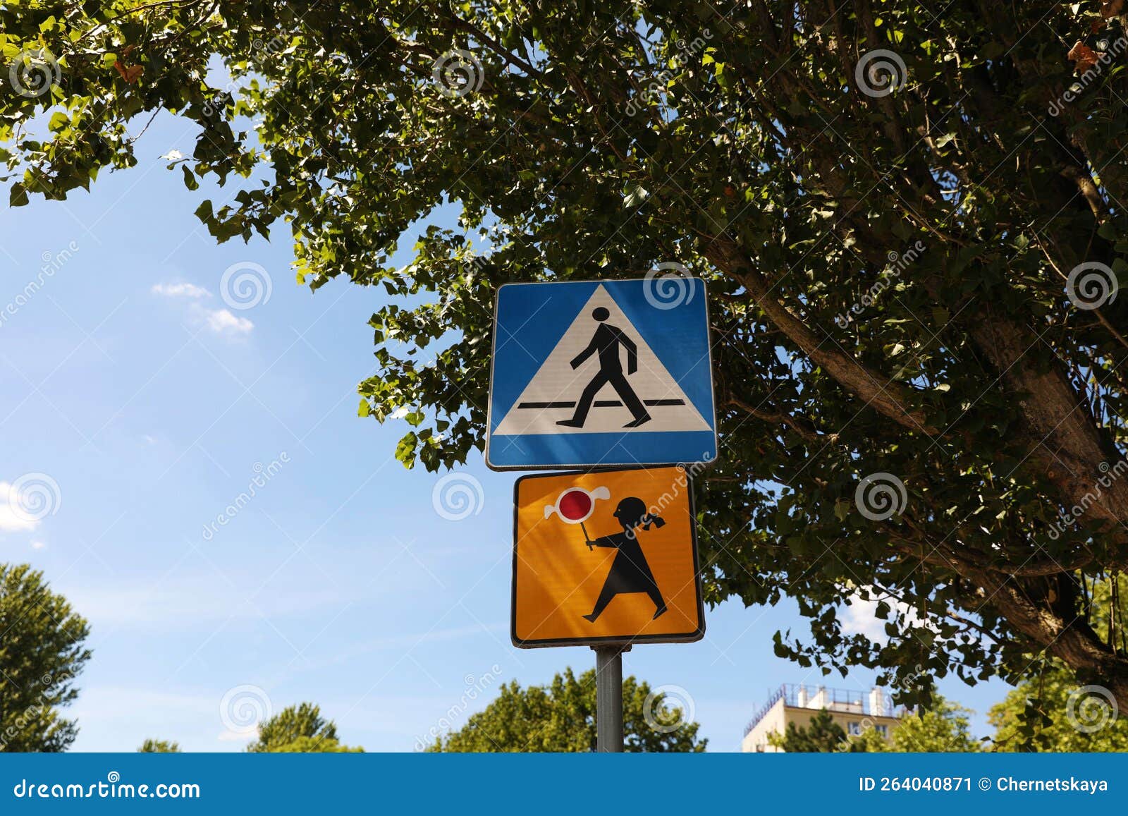 Different Road Signs Near Tree Outdoors on Sunny Day Stock Image ...