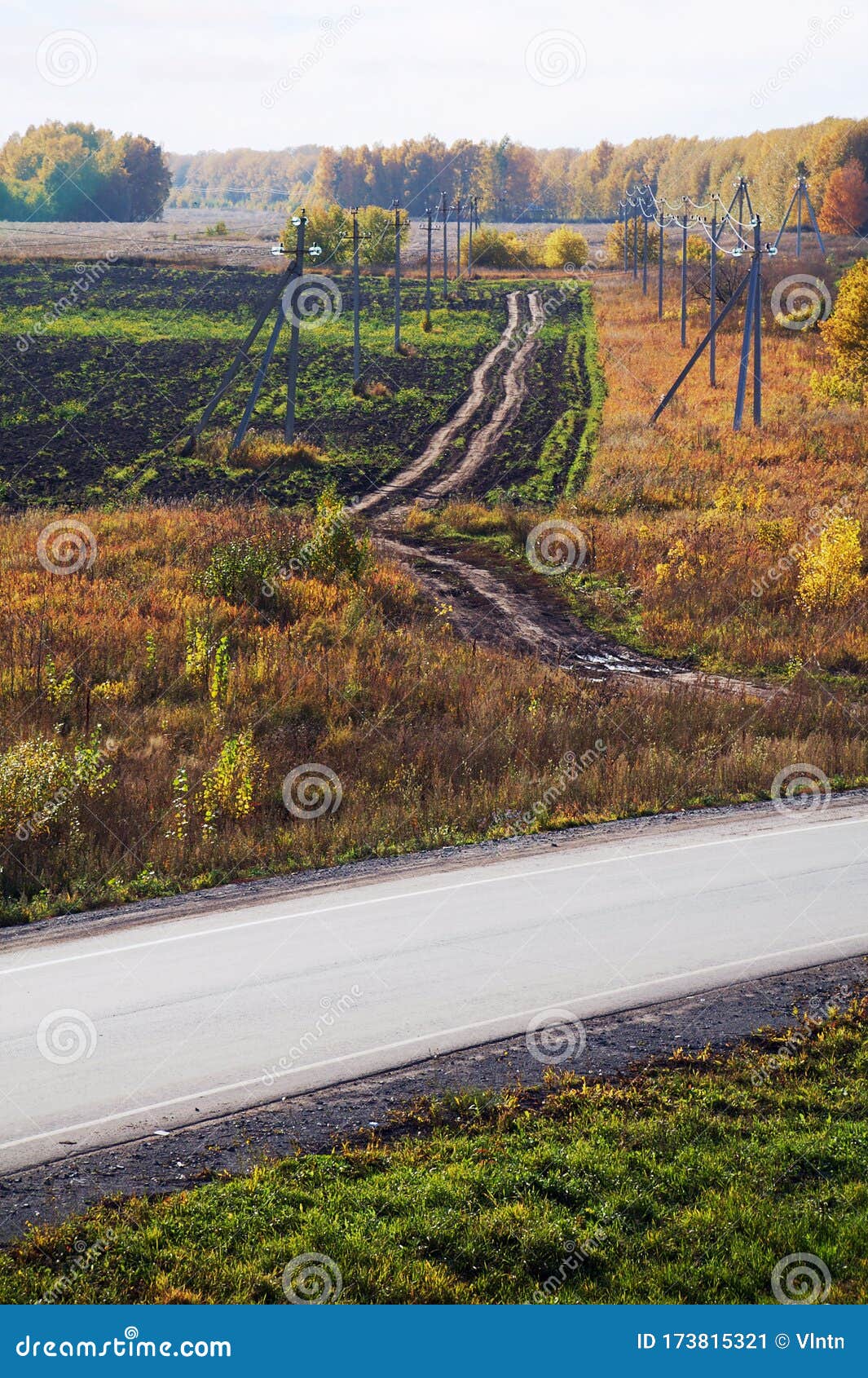 Two different roads stock image. Image of powerlines - 173815321
