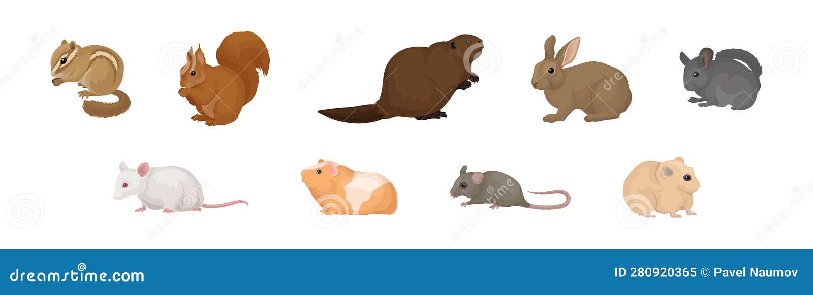 Different Rodents with Robust Bodies and Short Limbs Vector Set Stock ...