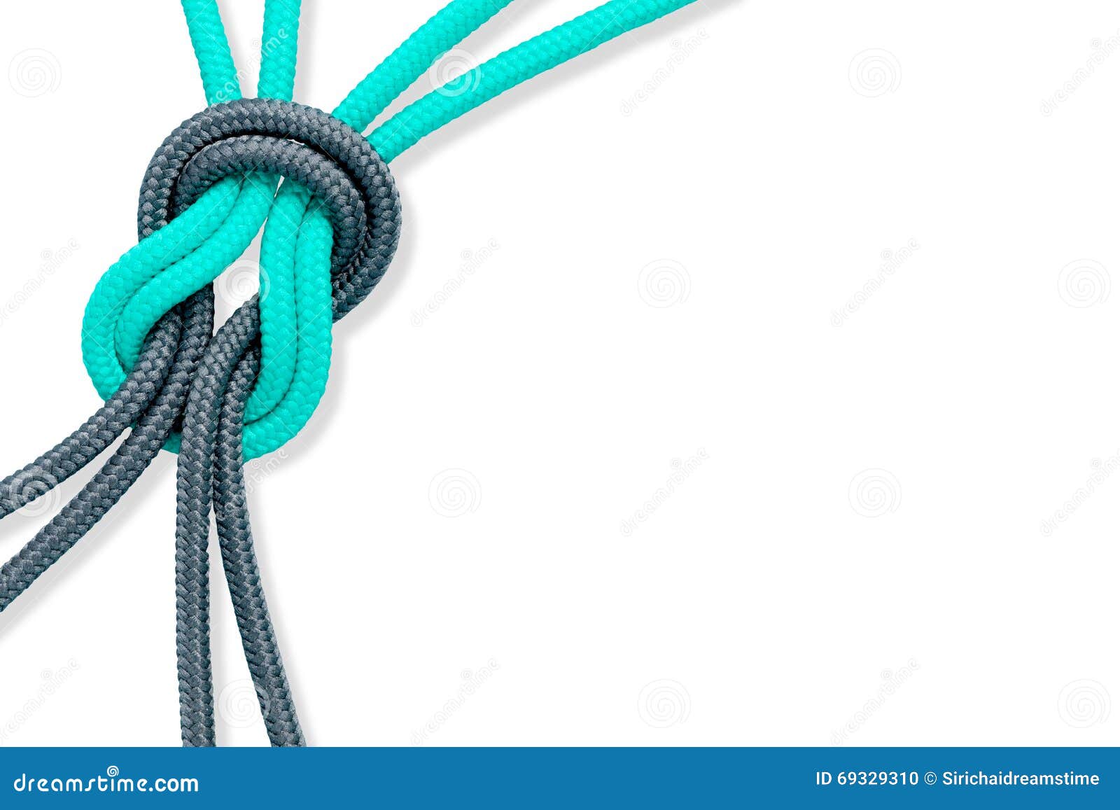 Different Ropes Tied Isolate on White with Clipping Path Stock Photo ...
