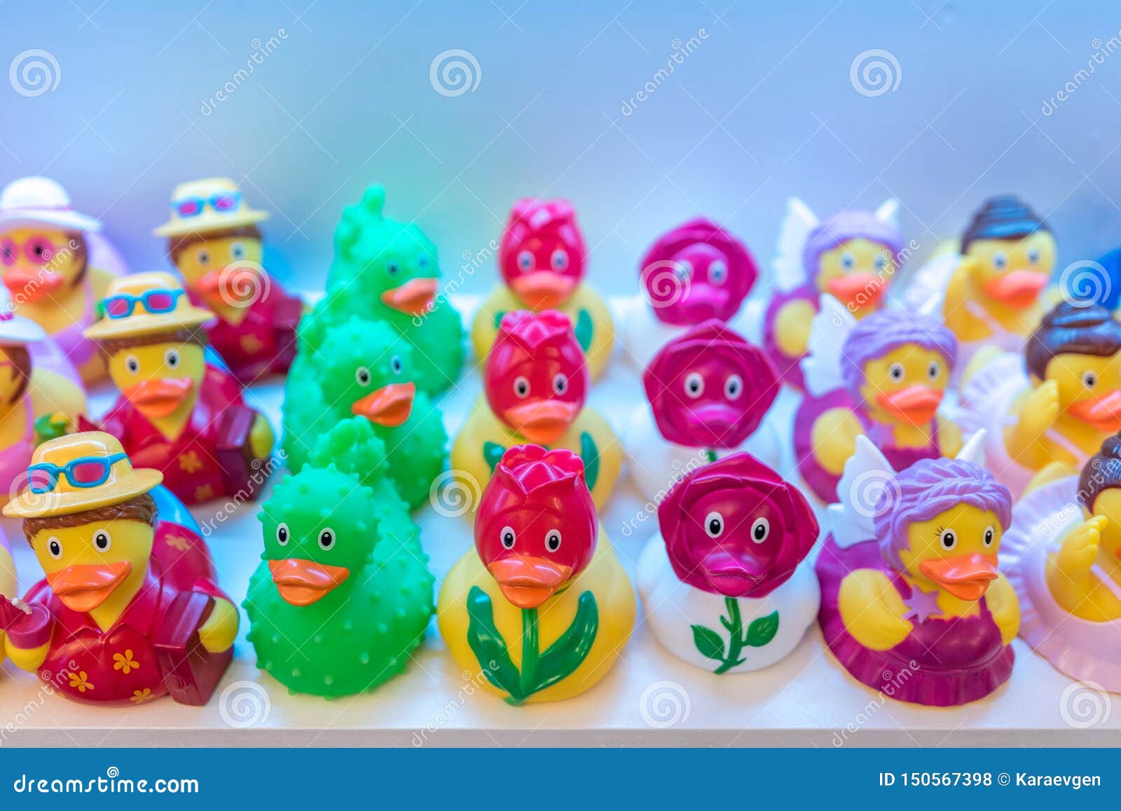 Different Rubber Ducks on the Shelf in the Store Stock Photo - Image of ...
