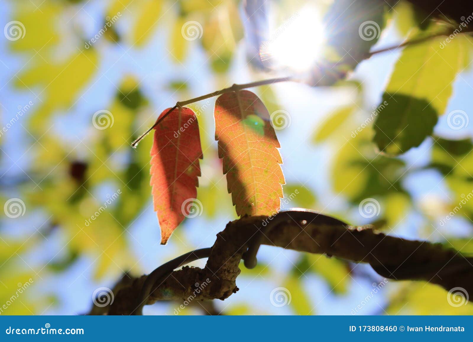 We Are Different, But The Same. Complementing Each Other With Their ...