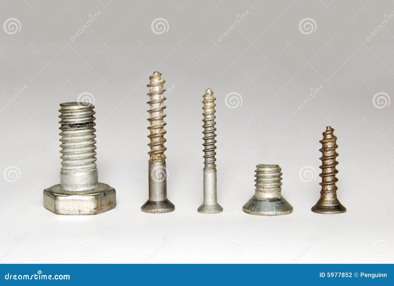Different screws stock photo. Image of concept, difference - 5977852