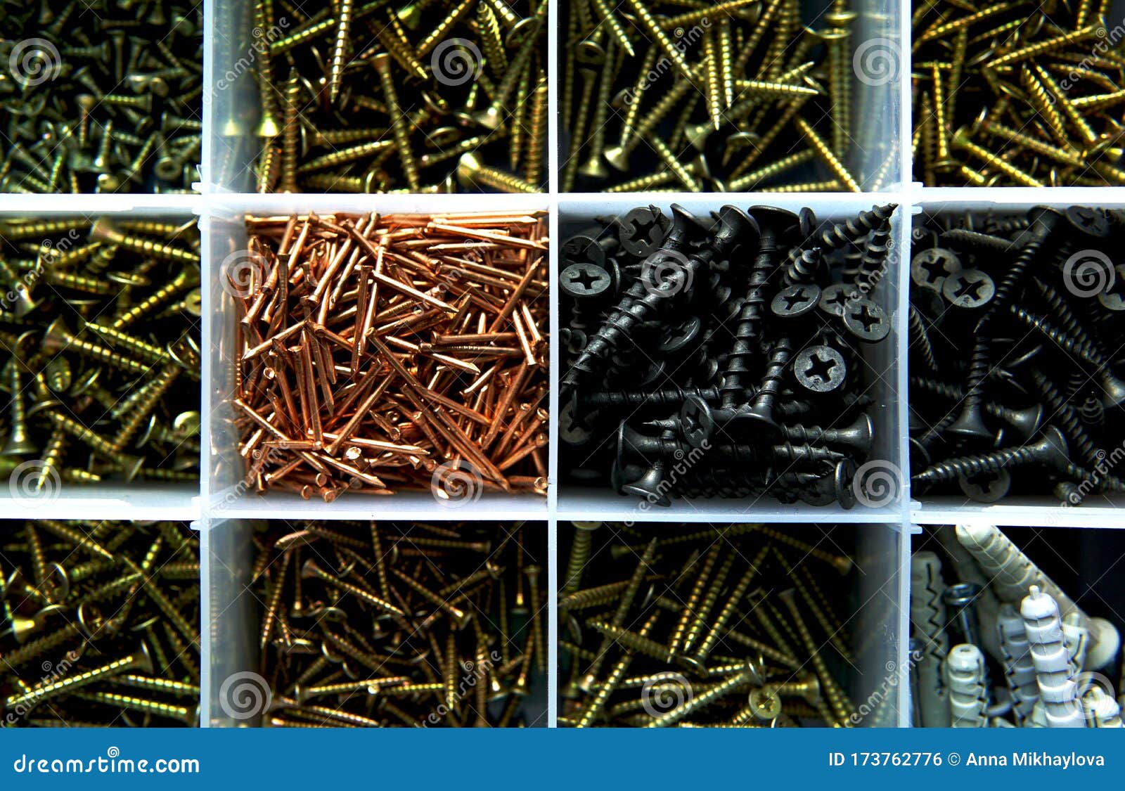 Different Screws and Nails in the Box. Stock Photo - Image of nail ...