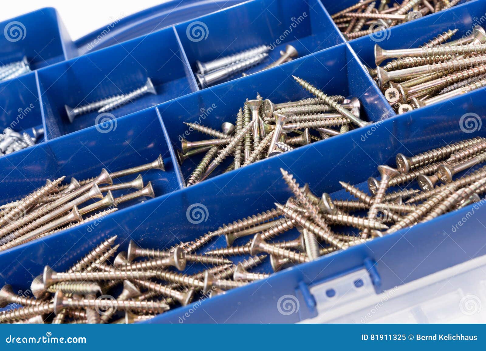 Different Screws and Other Parts Sorted in a Box Stock Image - Image of ...