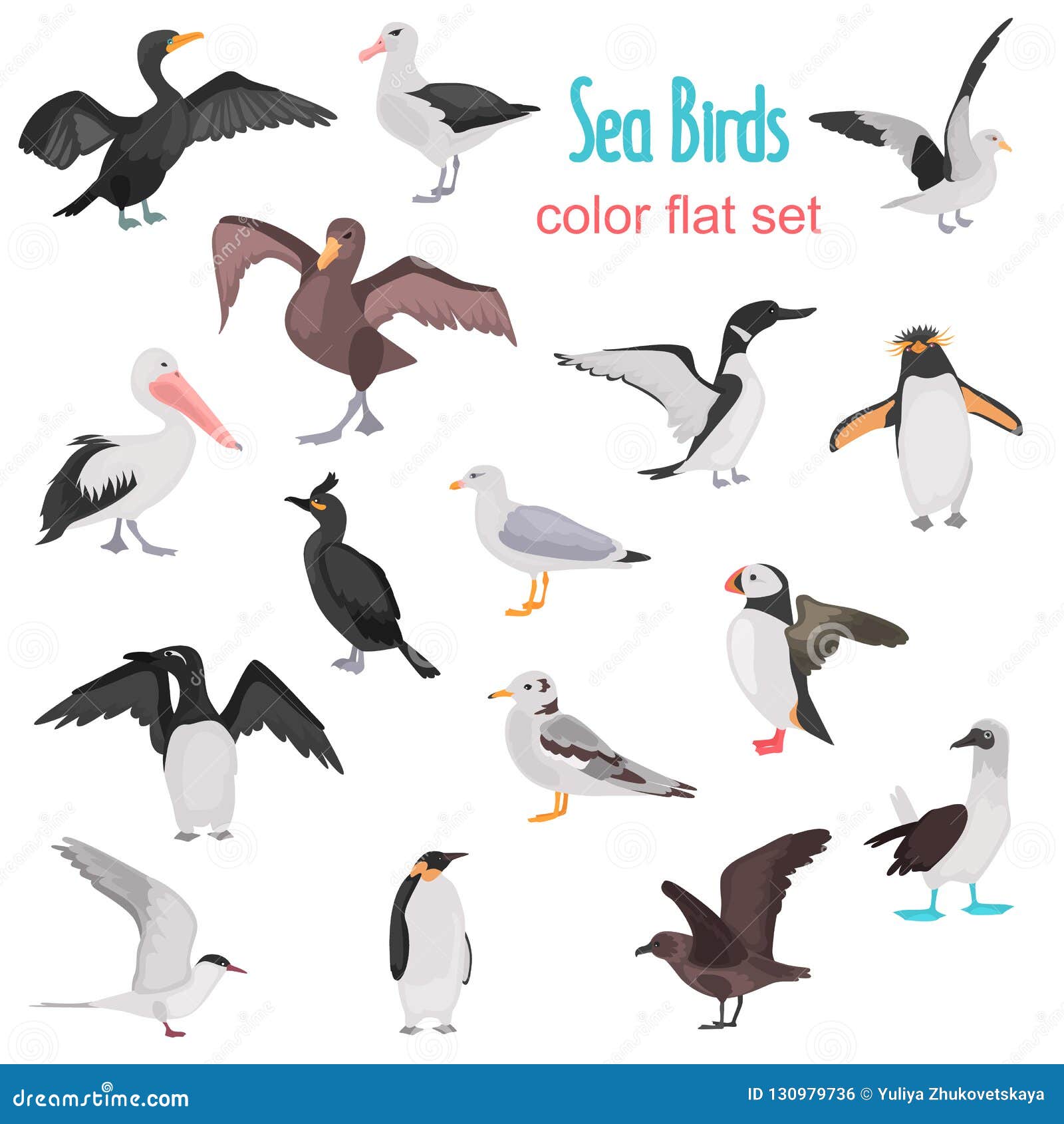 Different Sea Birds Color Flat Icons Set Stock Vector - Illustration of ...