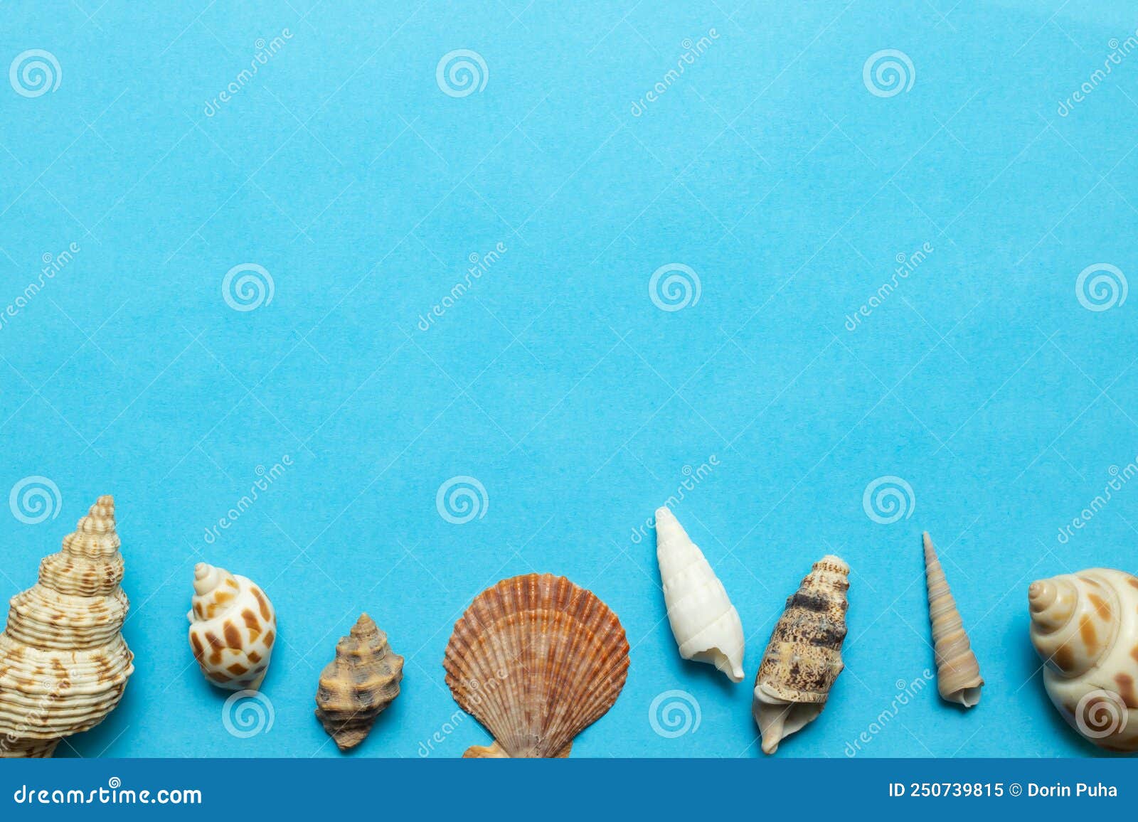 Different Seashells Border on Light Blue Paper Stock Image - Image of ...