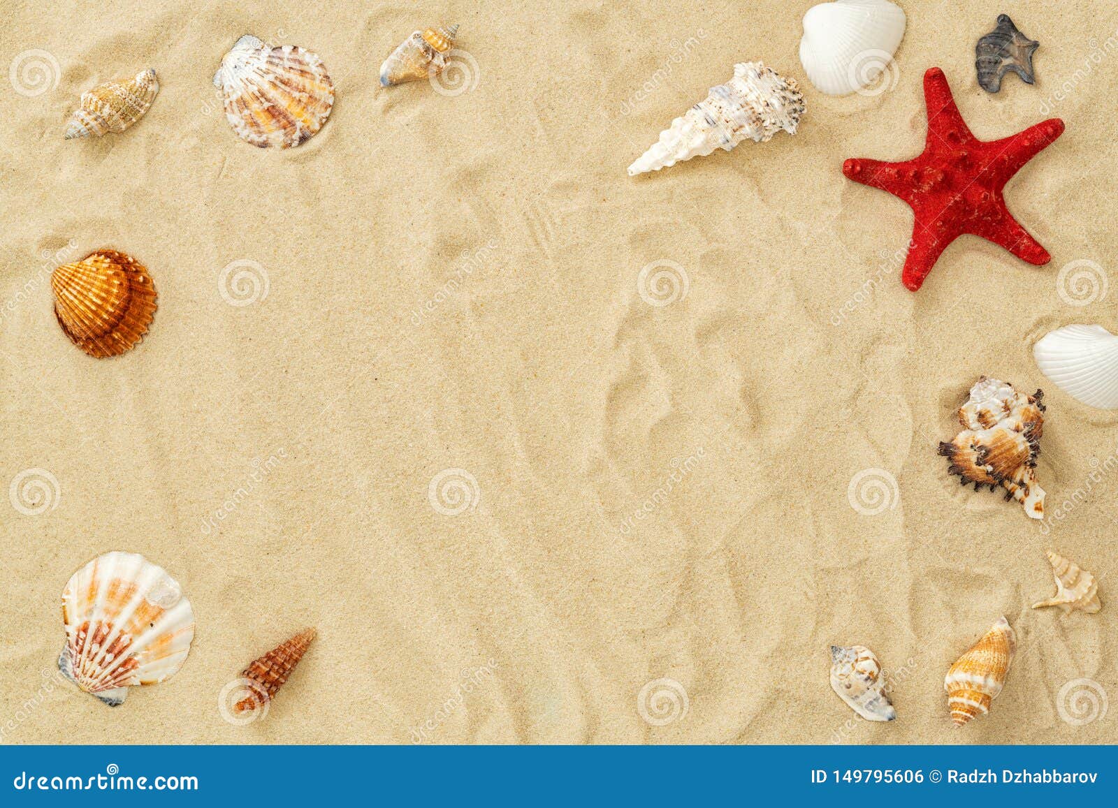Different Seashells Frame on Beach Sand. Summer Concept with Seashells ...