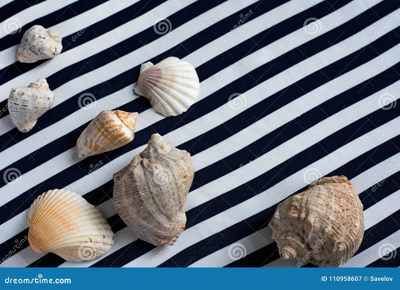 Different Seashells on Striped Dark Blue with White Cloth Stock Image ...