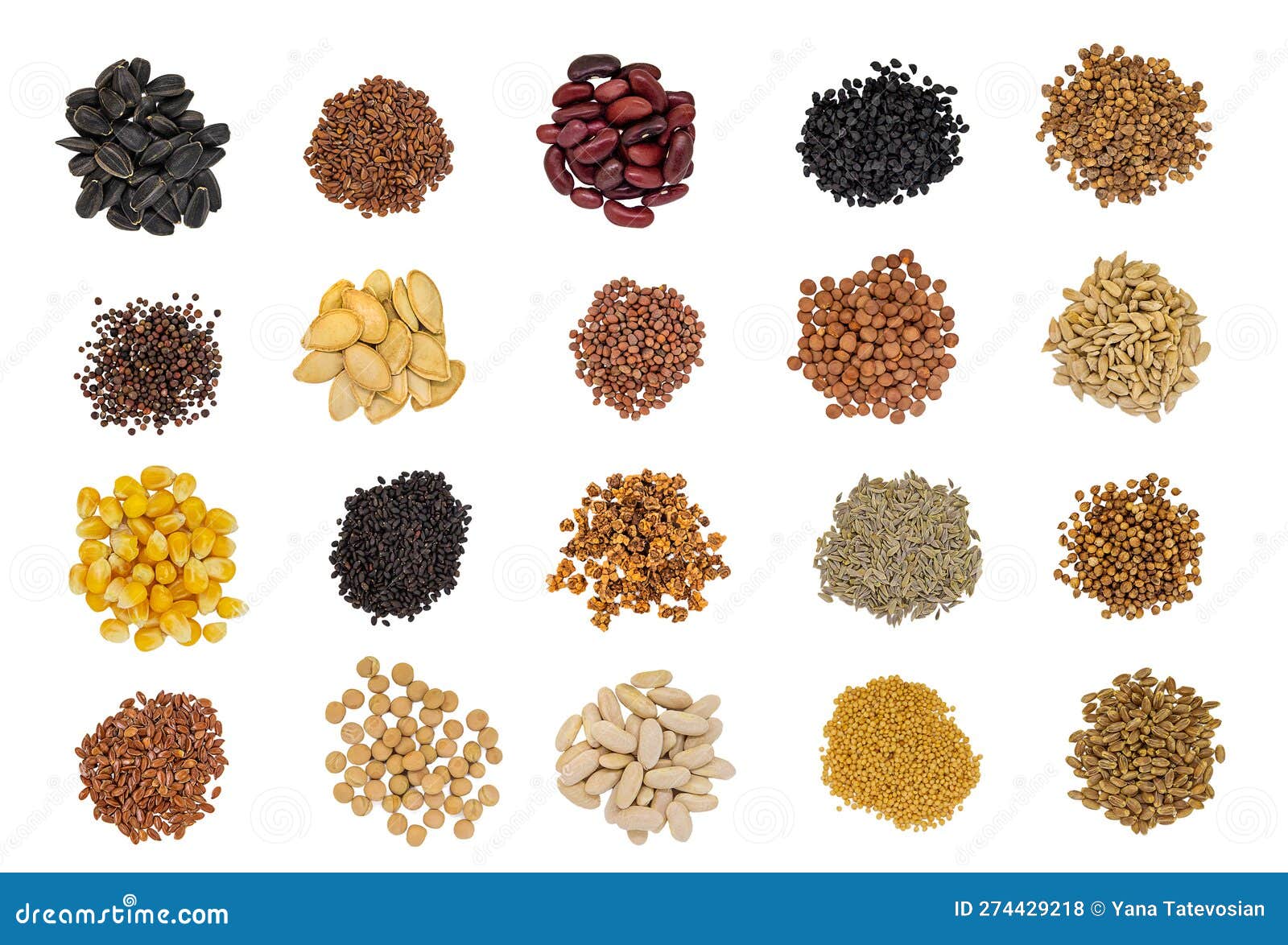 Different Seeds Isolate on White Background. Selective Focus Stock ...
