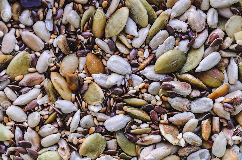 Different seeds and seeds stock image. Image of natural - 109797103