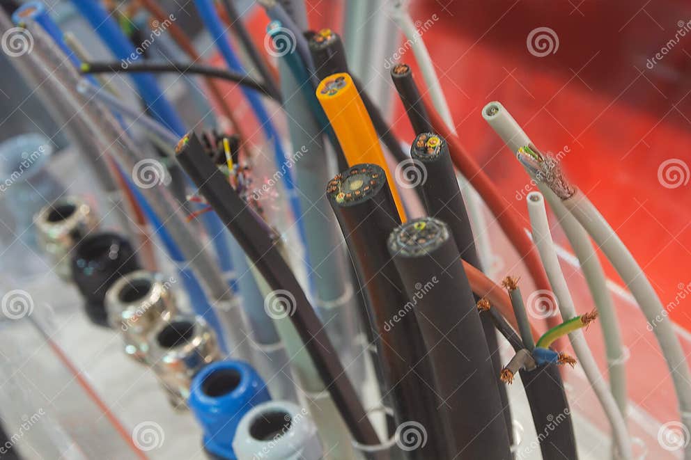 Different Separation Power Cables on the Showcase Close Up Stock Photo ...