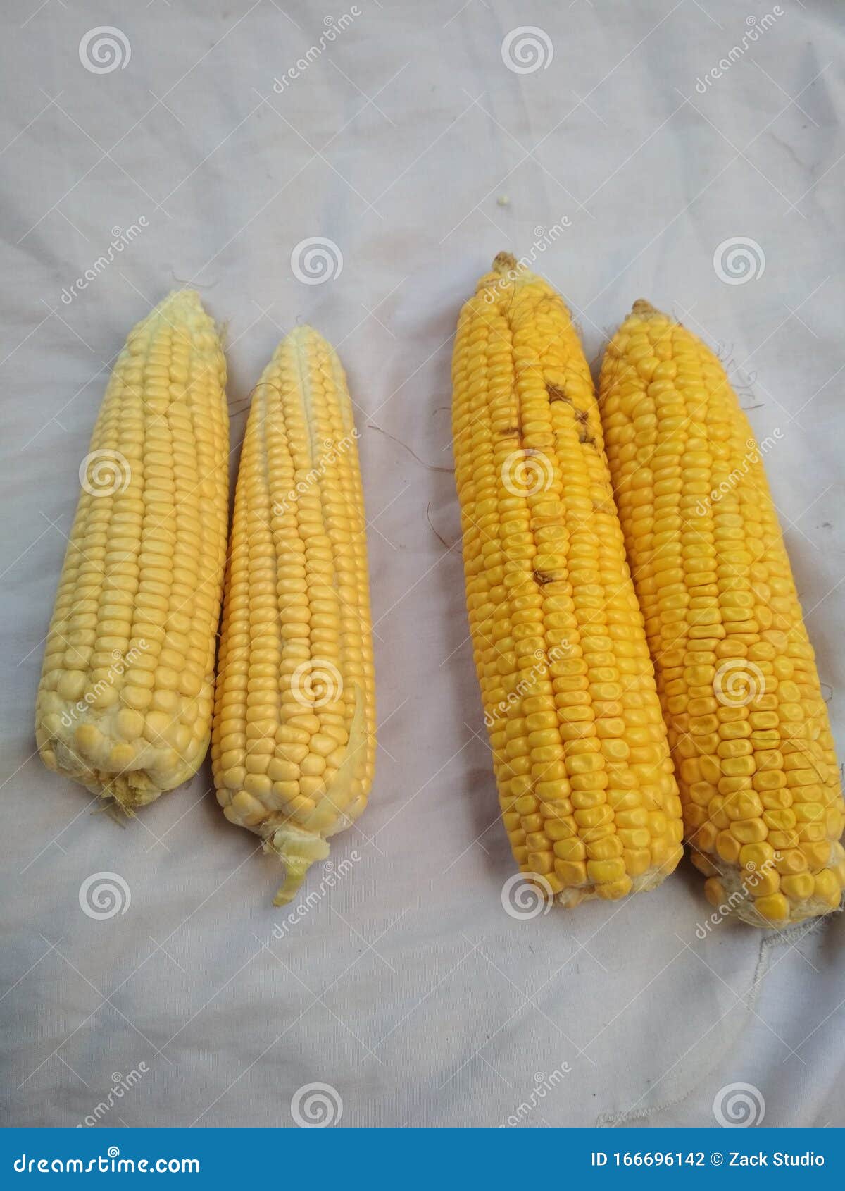 Different Shape of Two Corn Isolated Photo on White Cloth Background ...