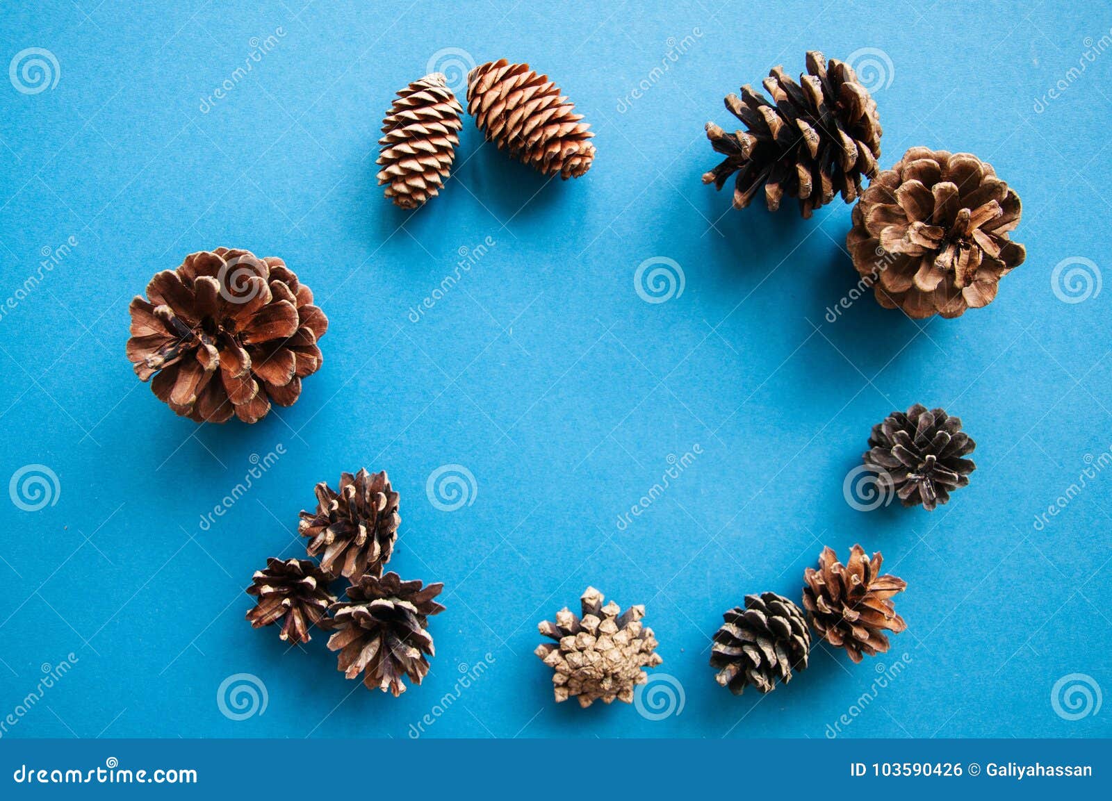 Different shapes of cones stock photo. Image of branch - 103590426