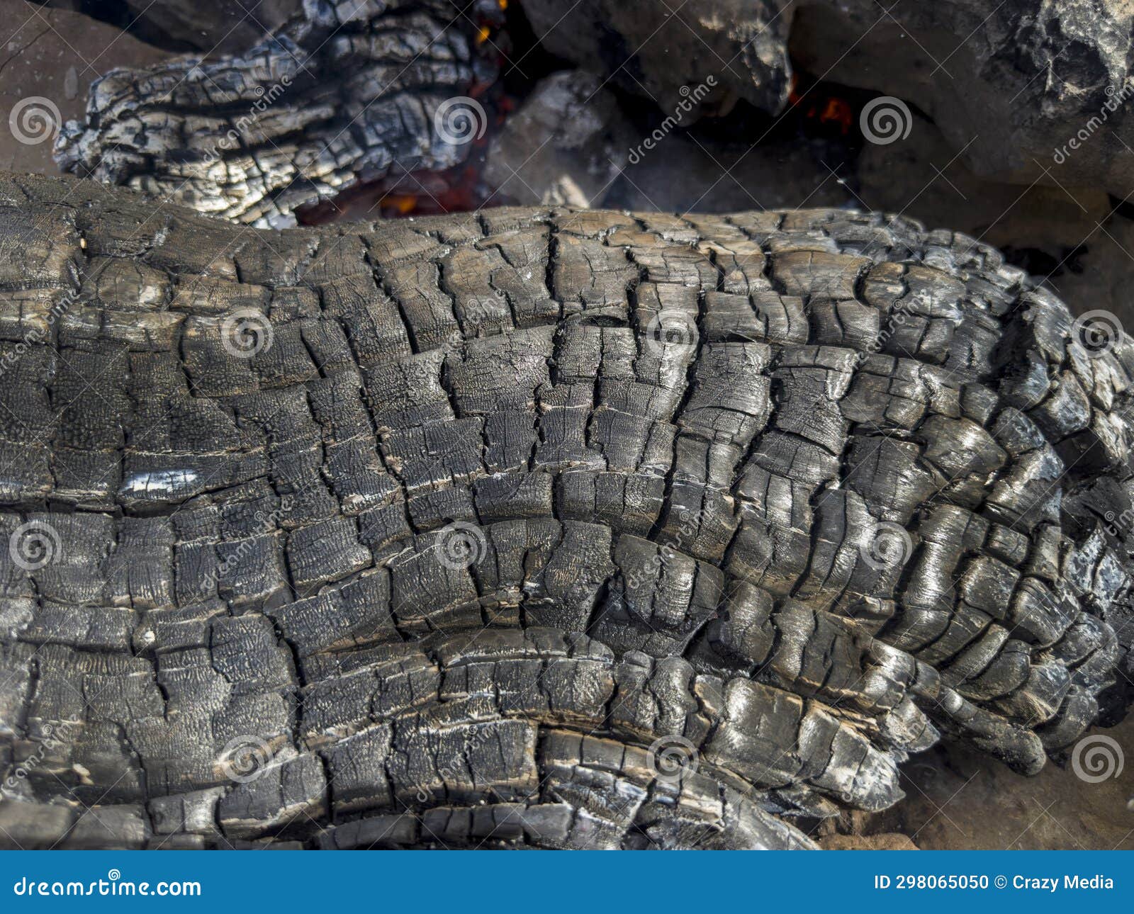 Different Shapes Formed by the Log after Burning Stock Photo - Image of ...