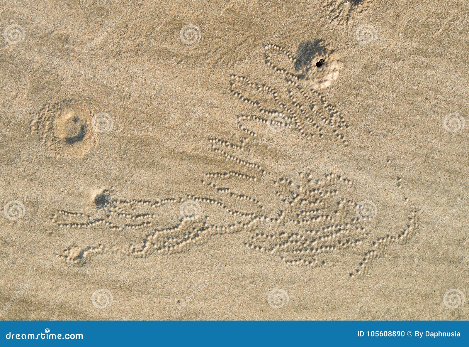 Trace on sand stock photo. Image of tropical, ocean - 105608890