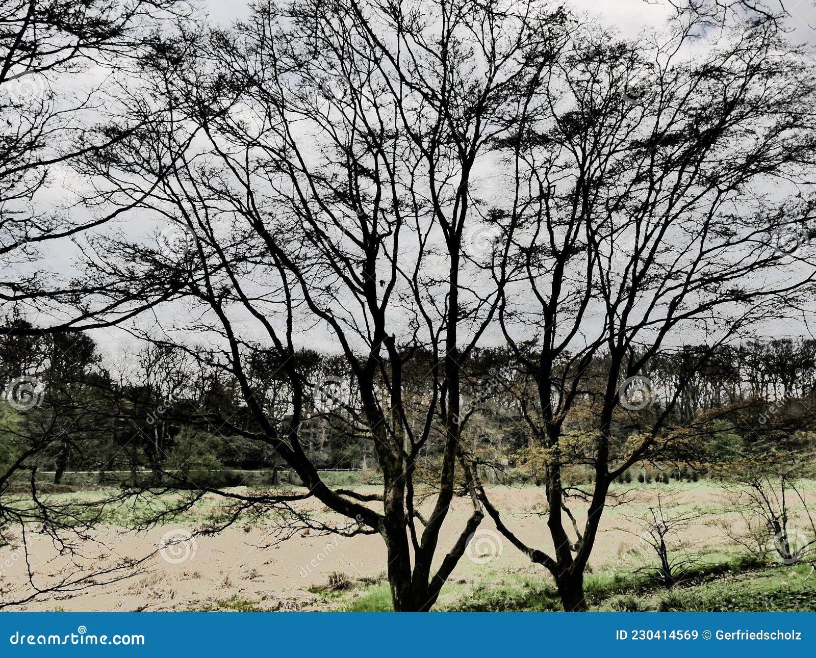 Different Sharpness And Blurring Areas. Expressionistic Visual Effect ...