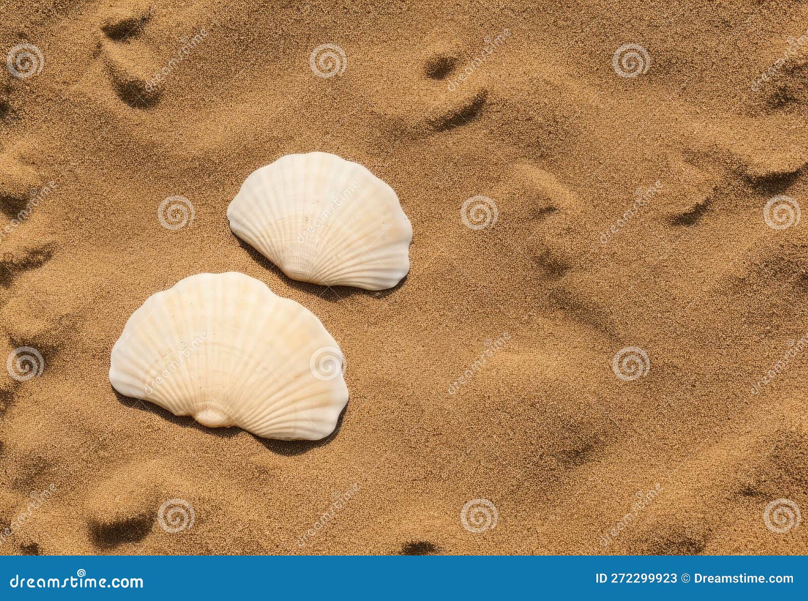 Beach and Colourful Shells on a Sunny Day. Generated with AI Stock ...
