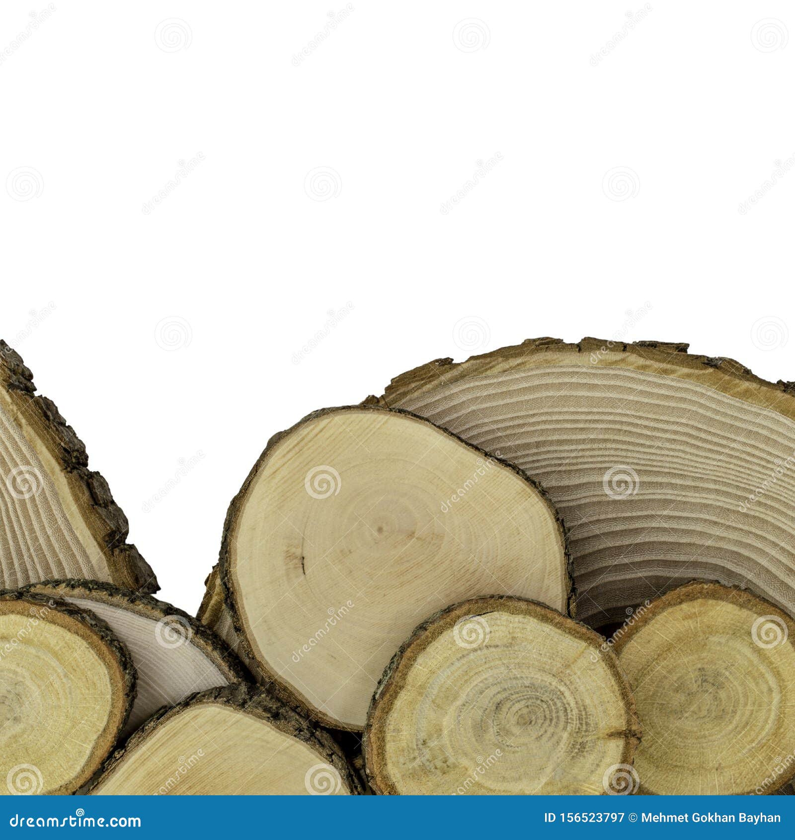 Close-up Tree Trunks. Tree Cross Sections. Copy Space. Stock Image ...