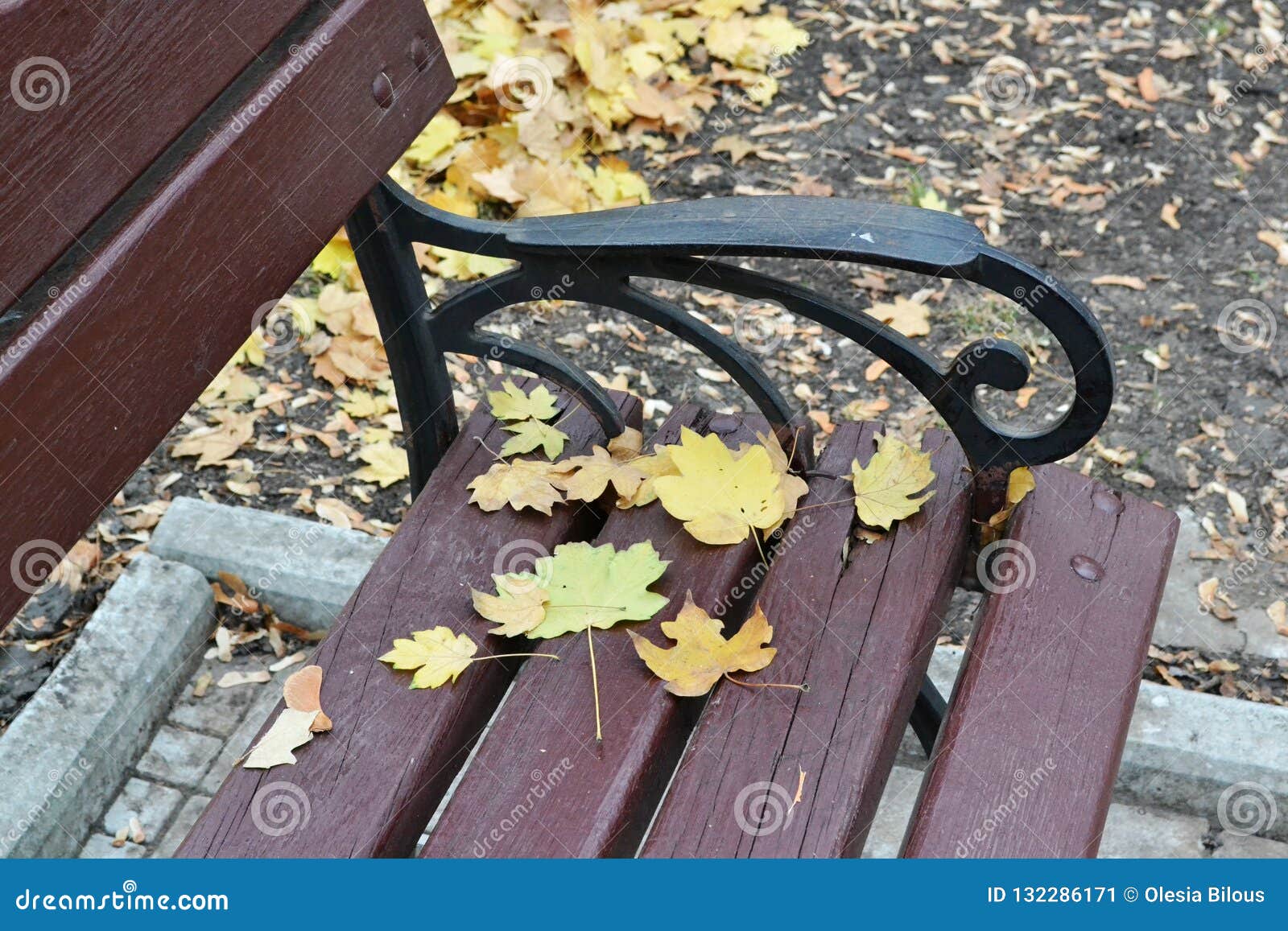 These are Different-sized Maple Leaves on a Brown Bench. Stock Image ...