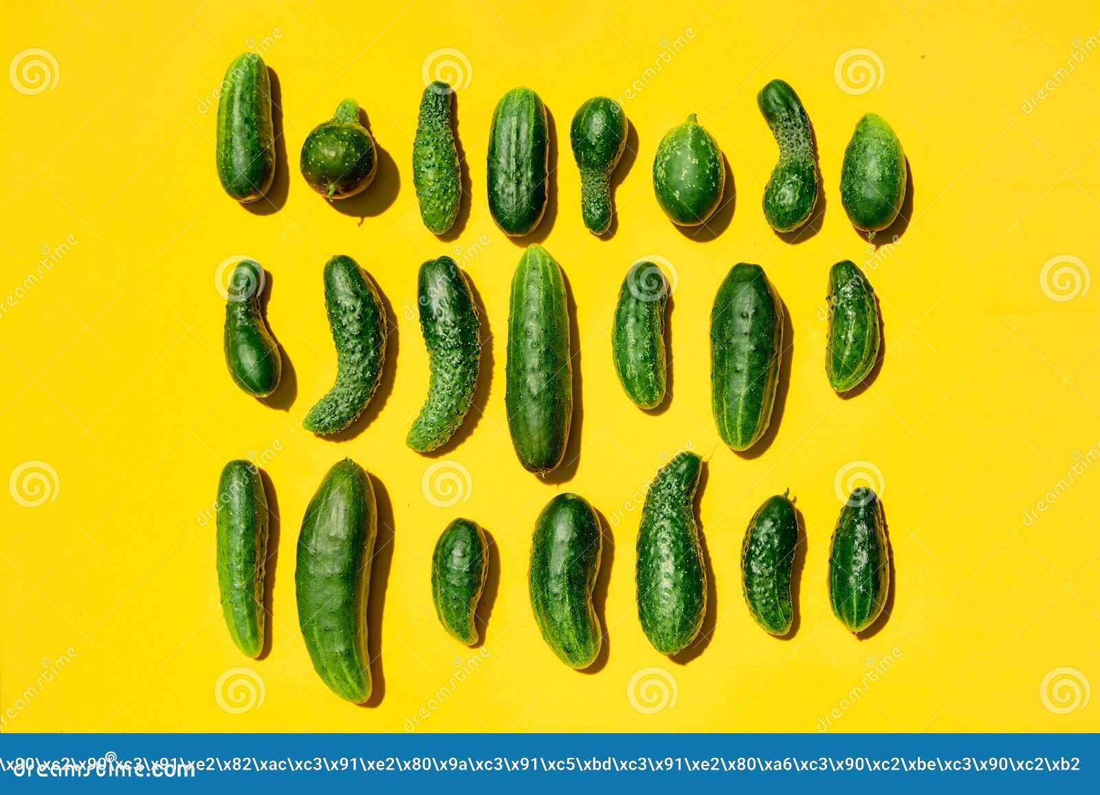 Different Sizes Forms Cucumbers Pattern on a Light Yellow Background ...