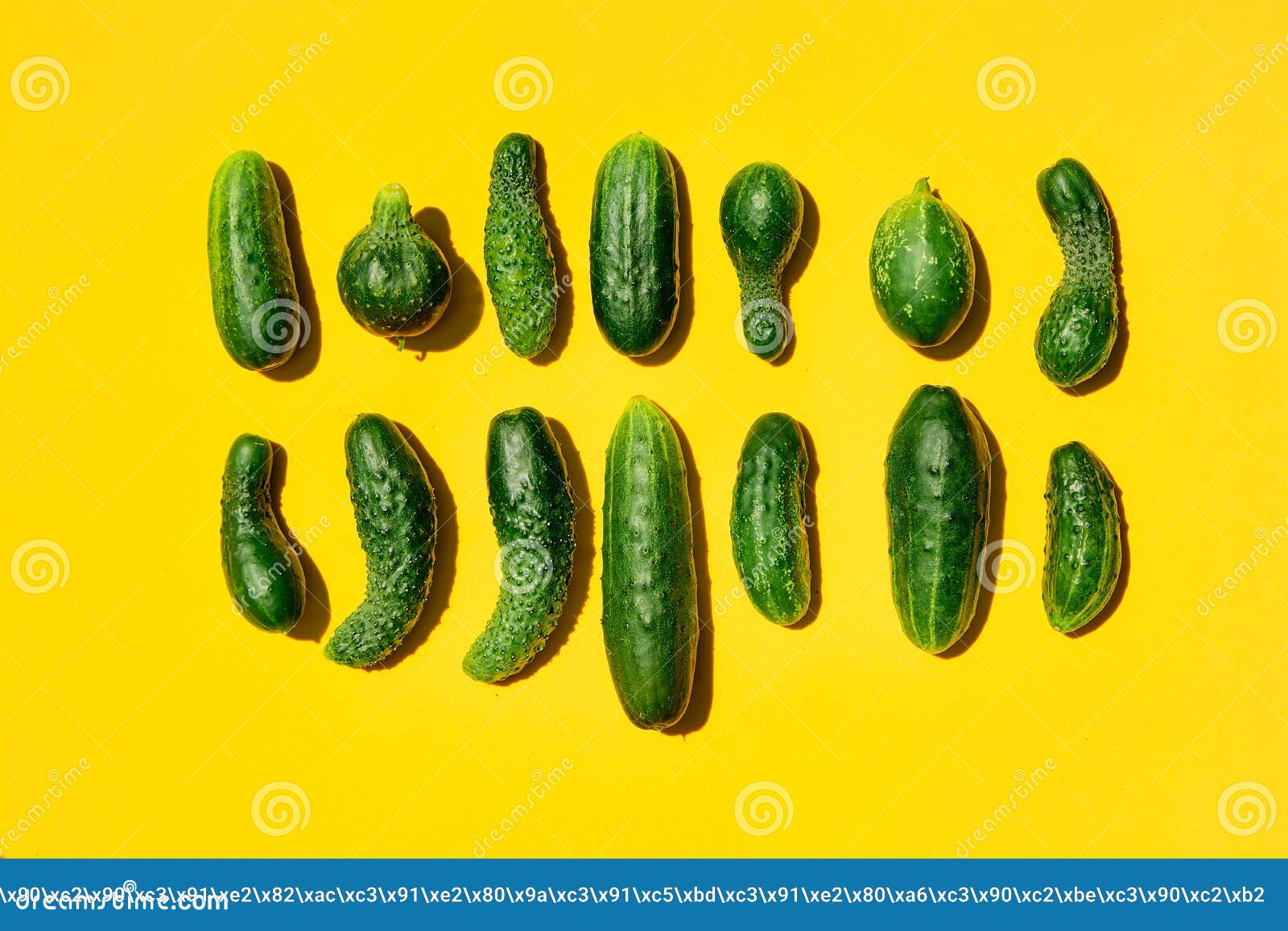 Different Sizes Forms Cucumbers Pattern on a Light Yellow Background ...