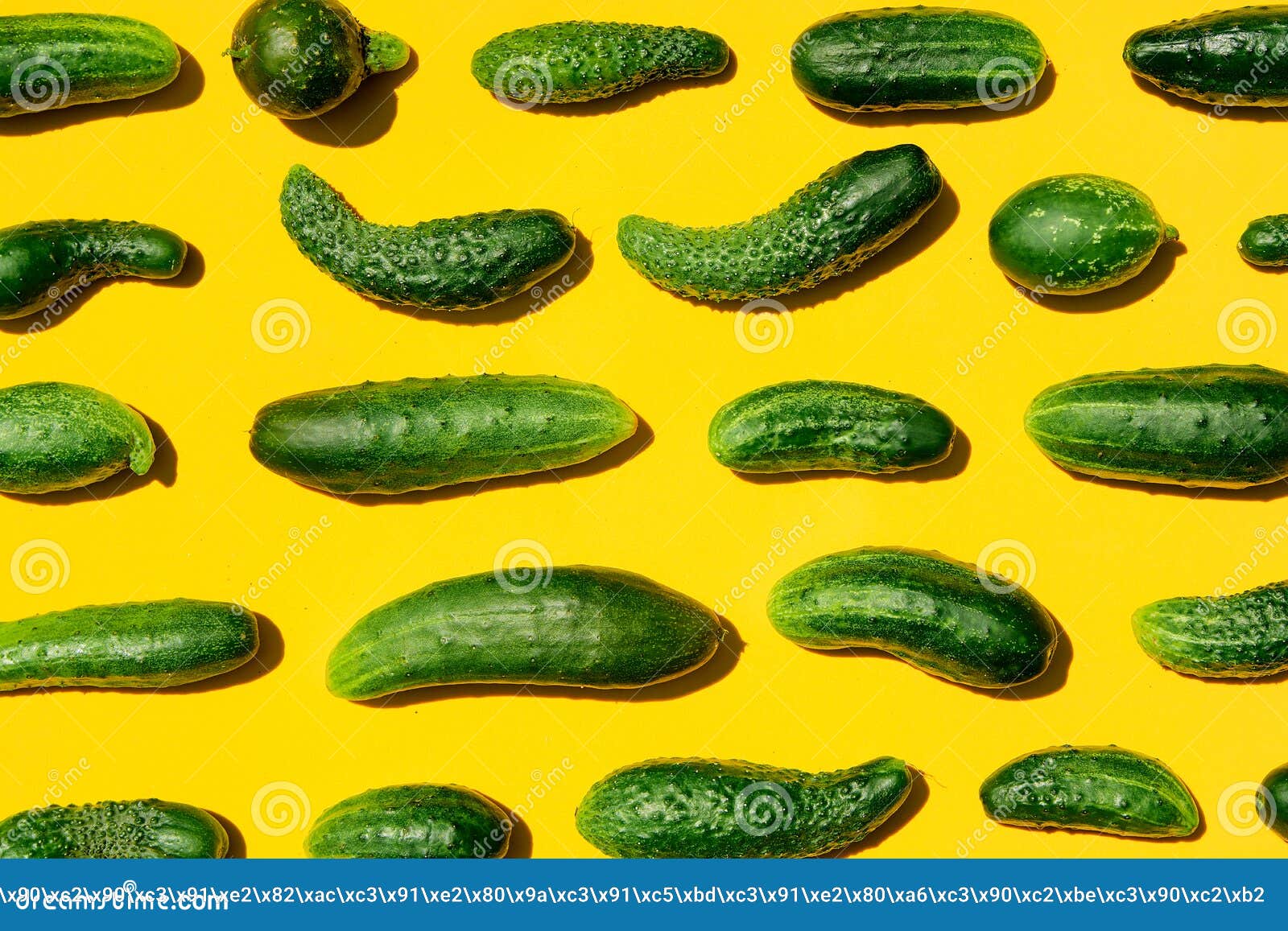 Different Sizes Forms Cucumbers Pattern on a Light Yellow Background ...