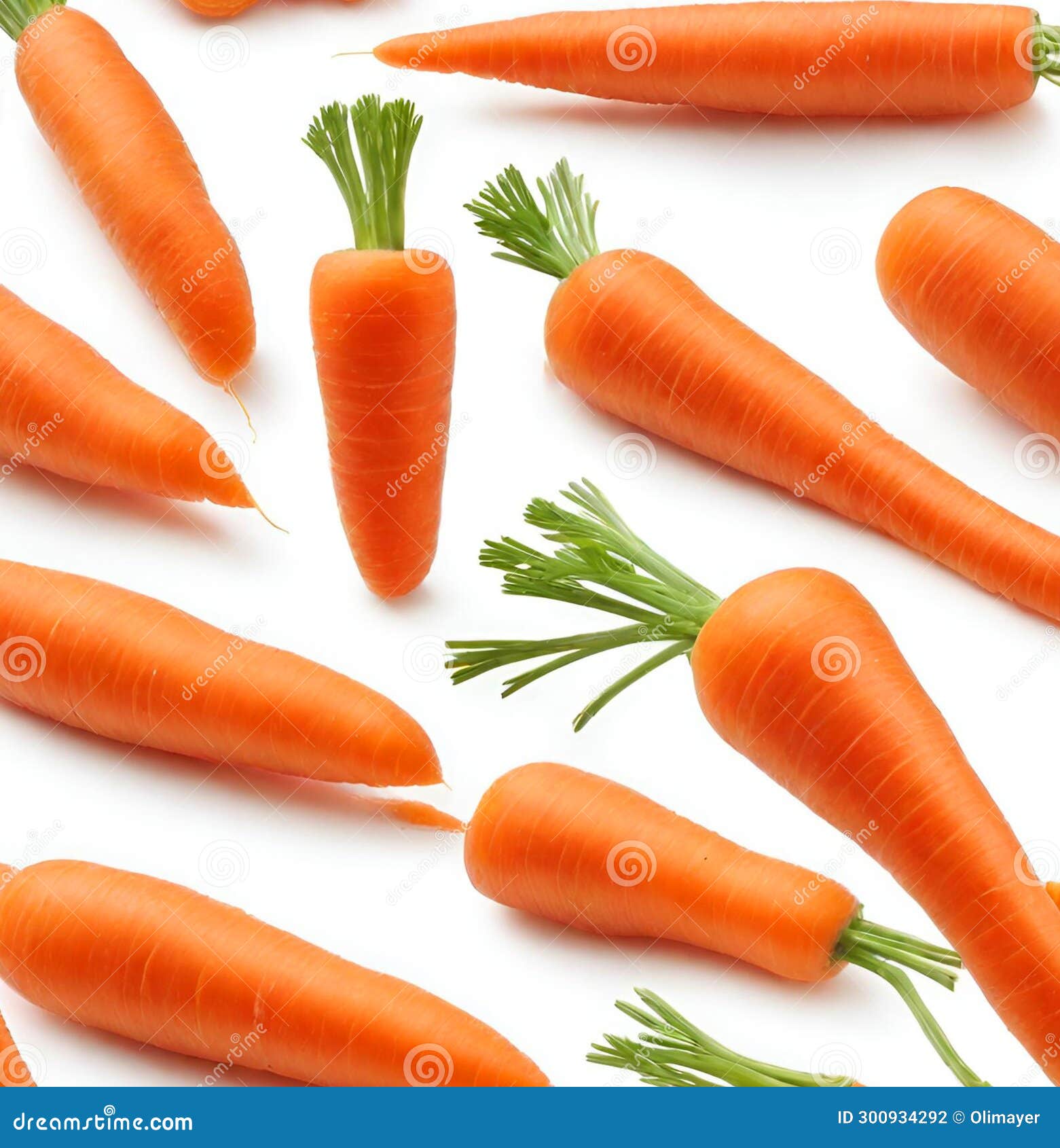 Different Sizes and Shapes of Carrots. Stock Illustration ...