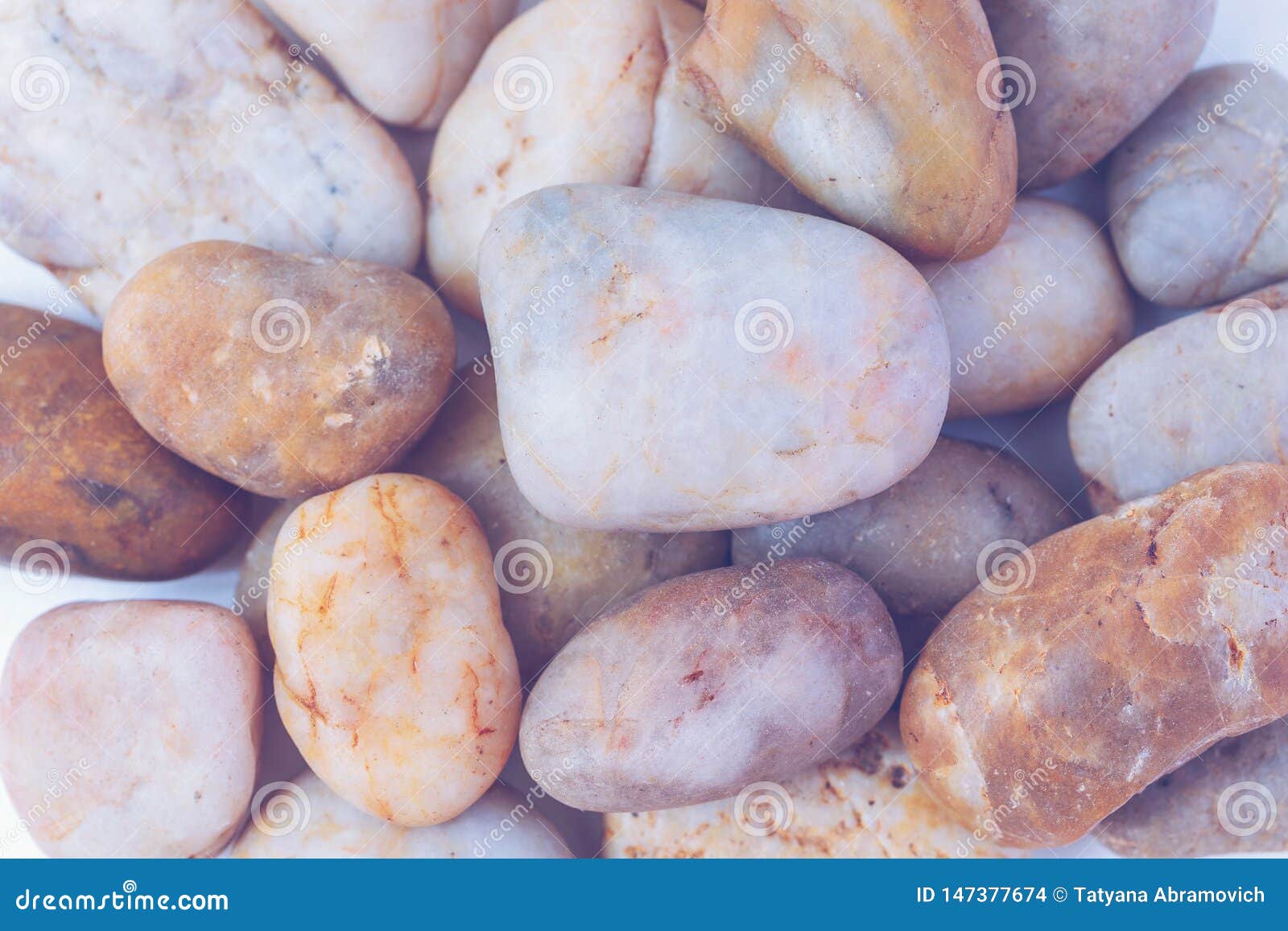 Different Smooth Sea Stones on the Beach Sand . Sea Pebbles Closeup ...
