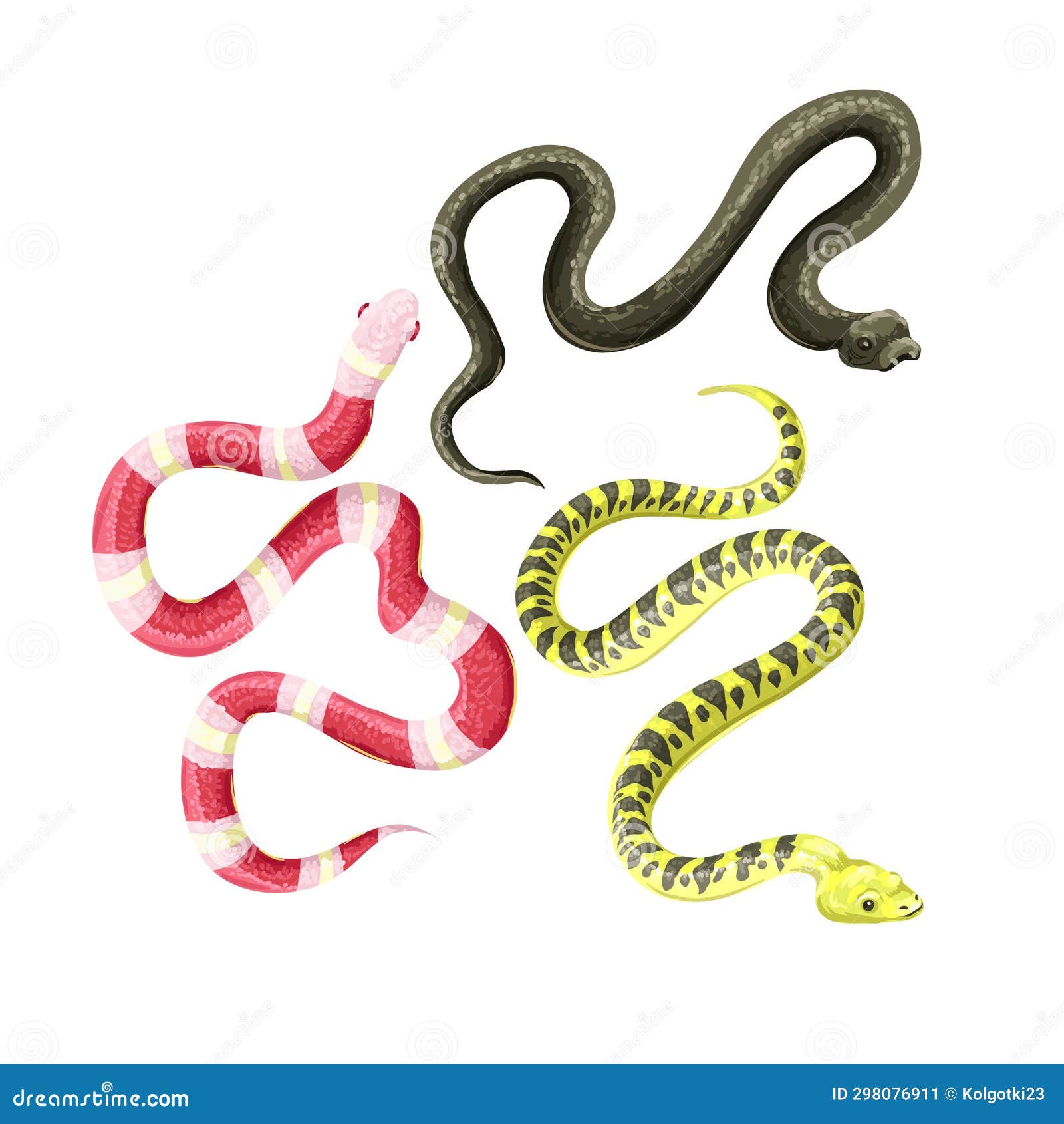 Set Of Different Snakes With Hand Drawn Outline. Vector Collection Of ...