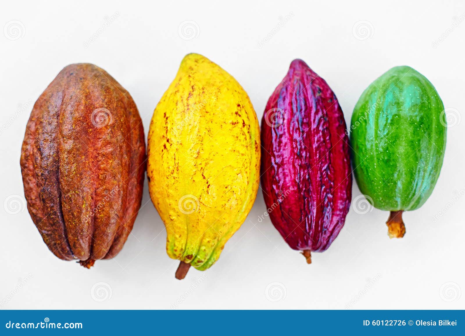 Different Sorts of Colorful Cocoa Pods on White Stock Photo - Image of ...