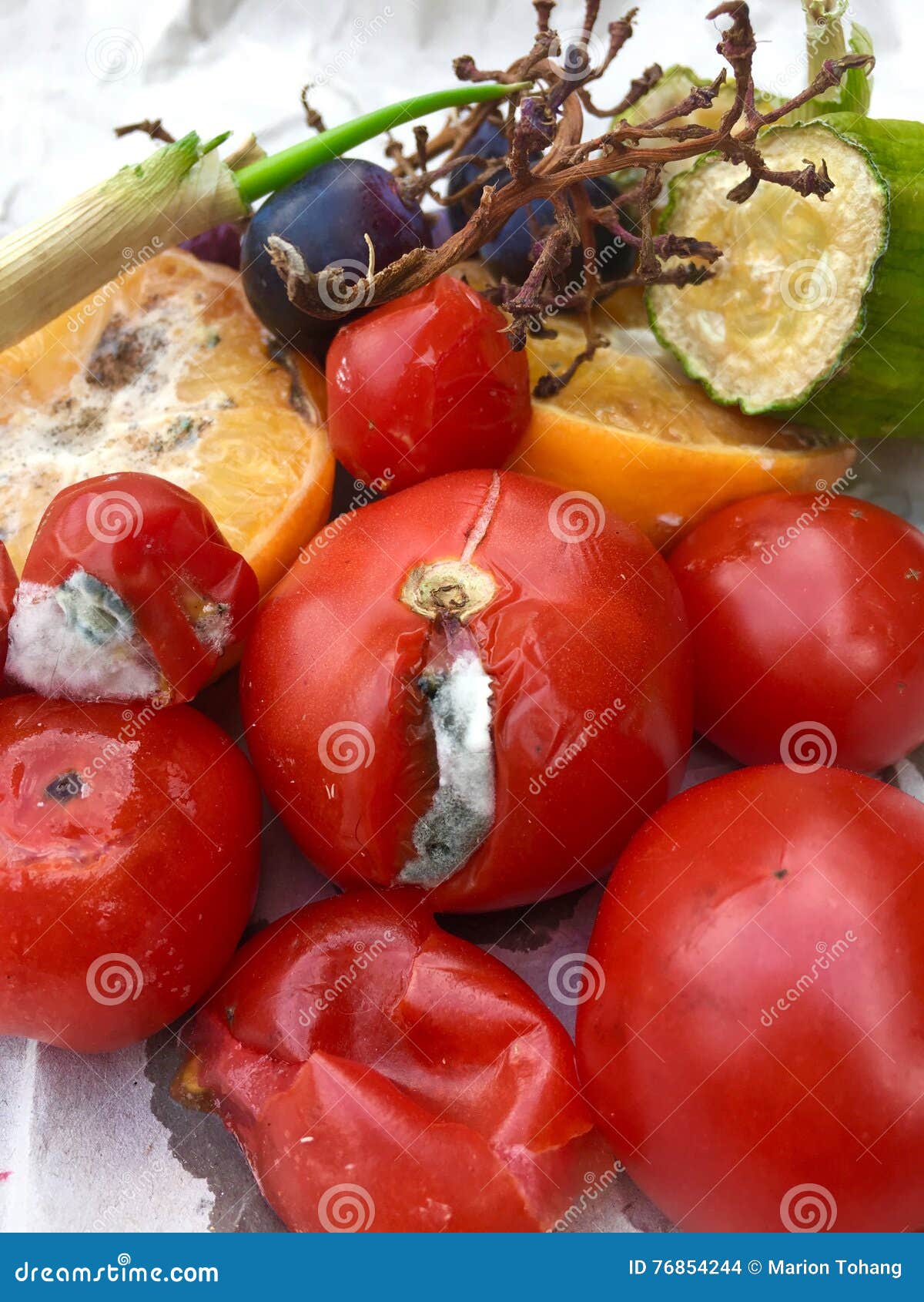 Different Sorts of Rotten Fruit and Vegetables Stock Photo - Image of ...