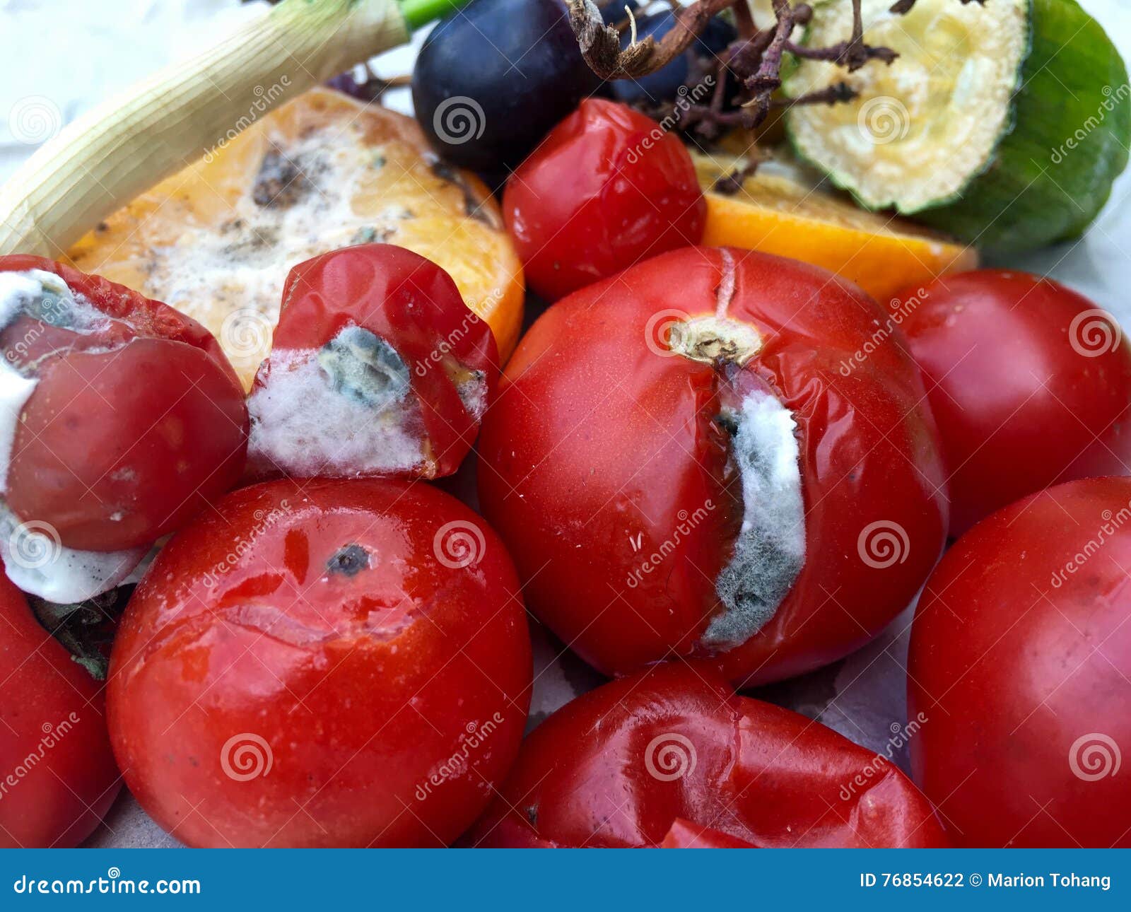 Different Sorts of Rotten Fruit and Vegetables Stock Photo - Image of ...