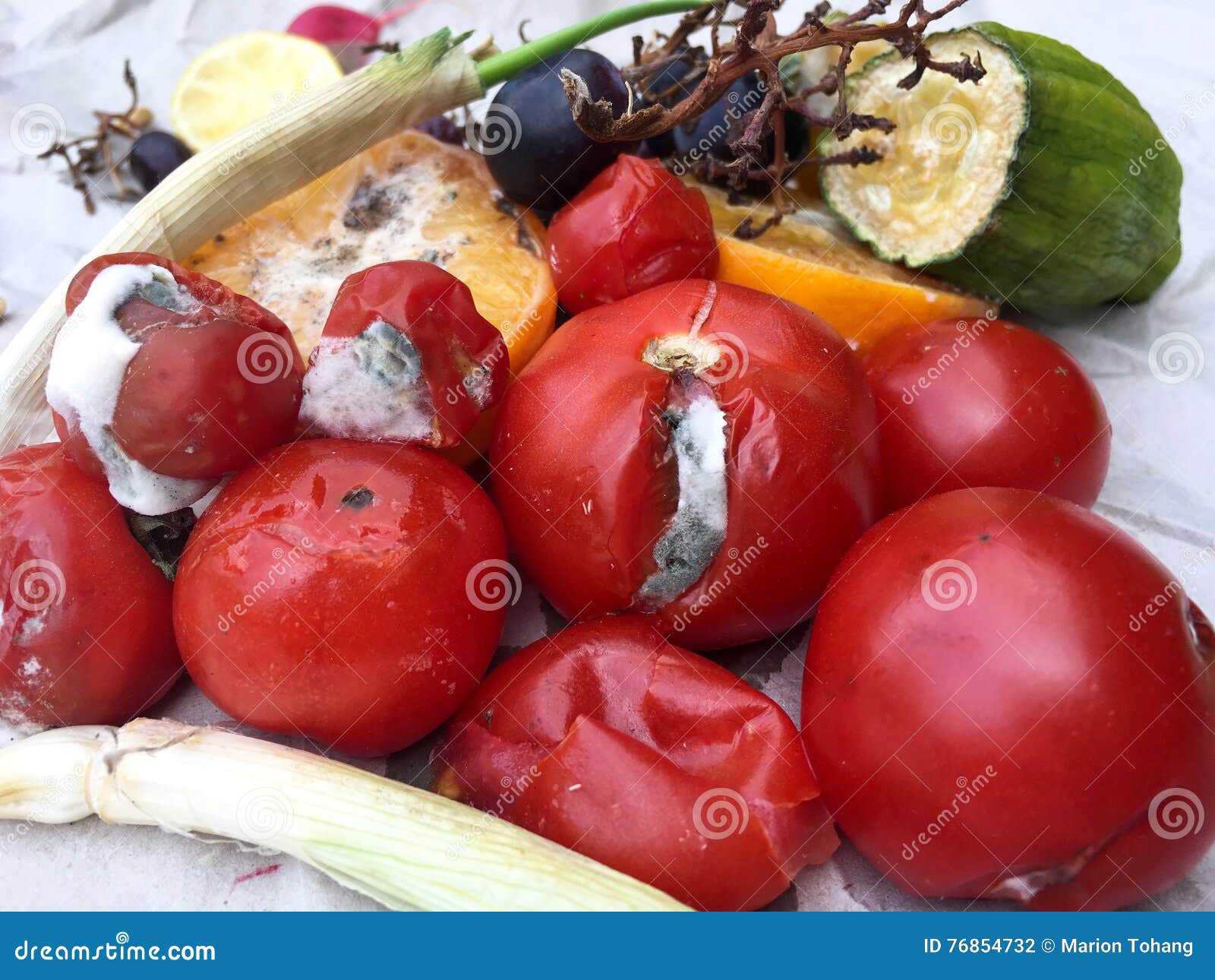 Different Sorts of Rotten Fruit and Vegetables Stock Photo - Image of ...