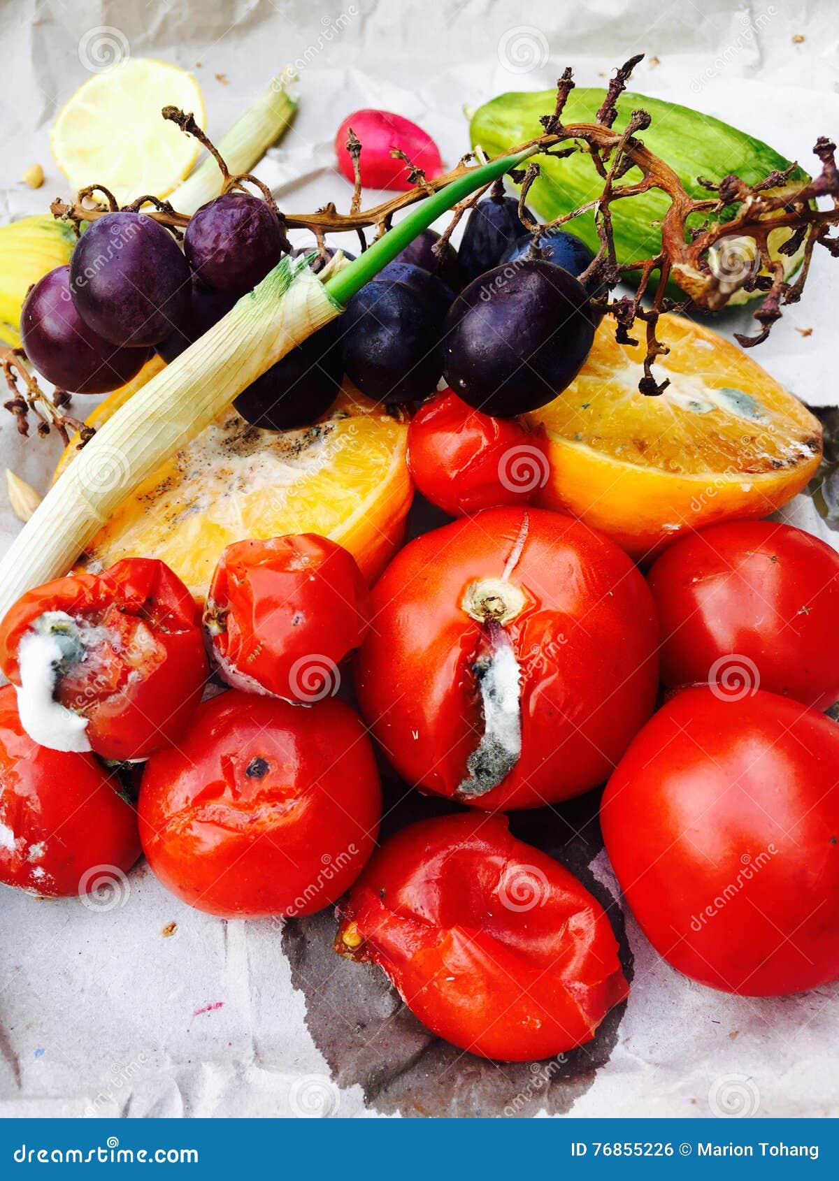 Different Sorts of Rotten Fruit and Vegetables Stock Photo - Image of ...