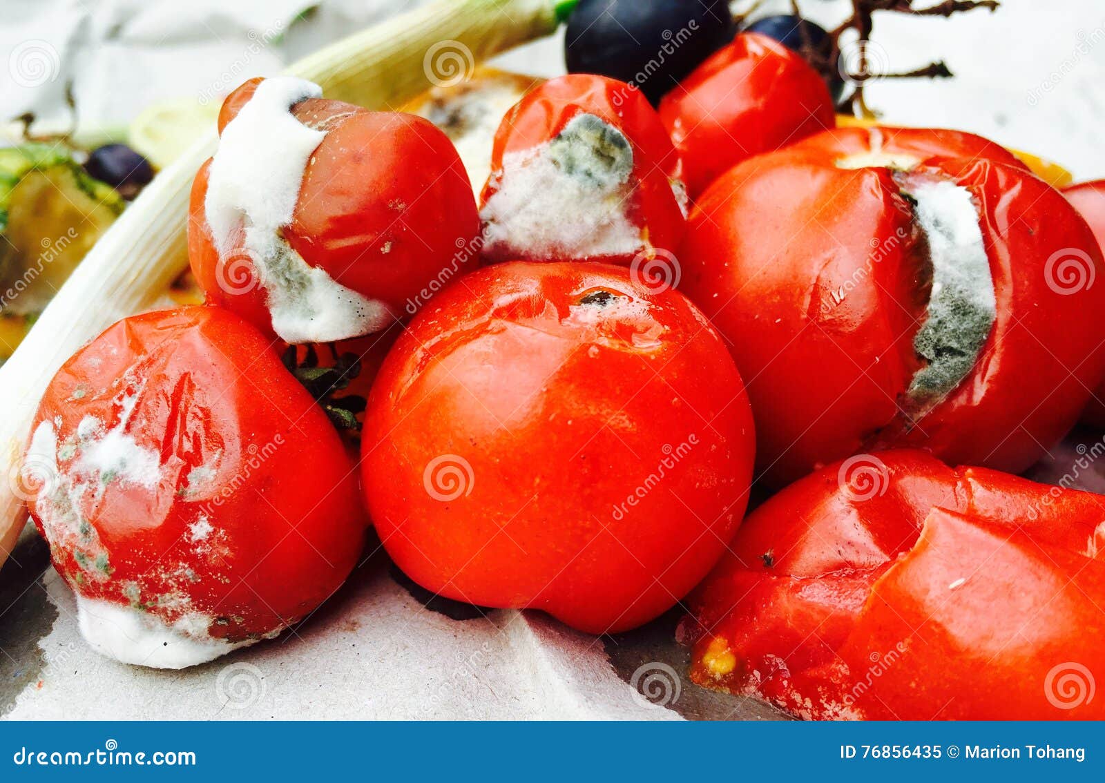 Different Sorts of Rotten Fruit and Vegetables Stock Image - Image of ...
