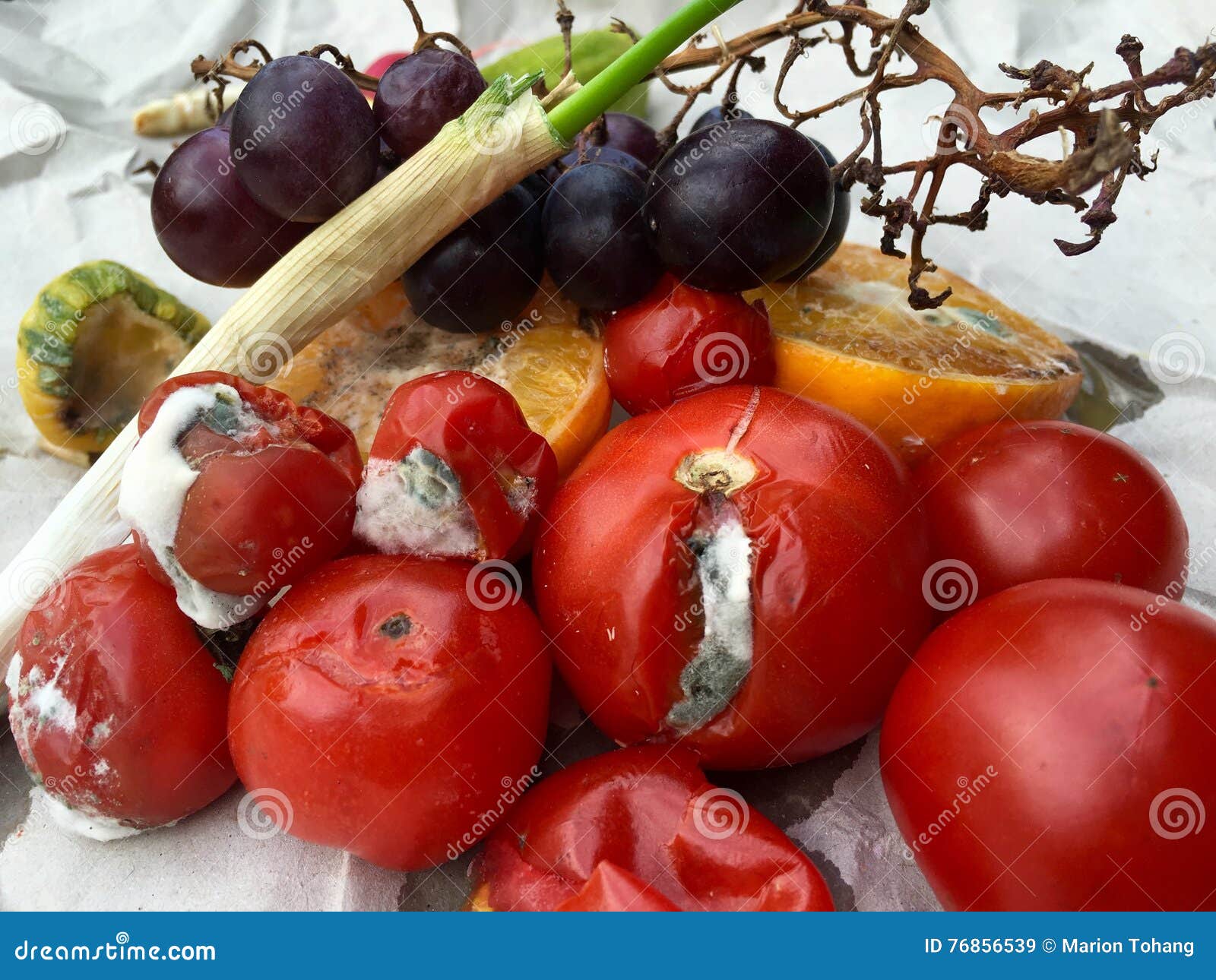 Different Sorts of Rotten Fruit and Vegetables Stock Image - Image of ...